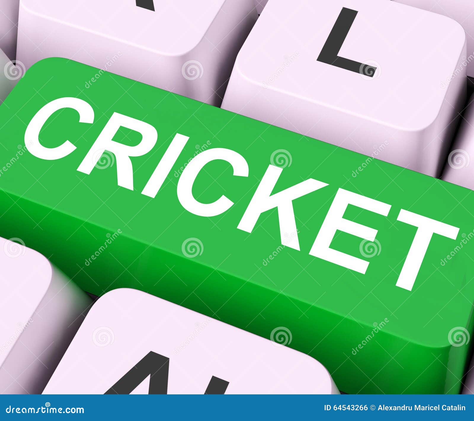 Cricket Key Means Sport or Match Stock Photo - Image of sport, online ...