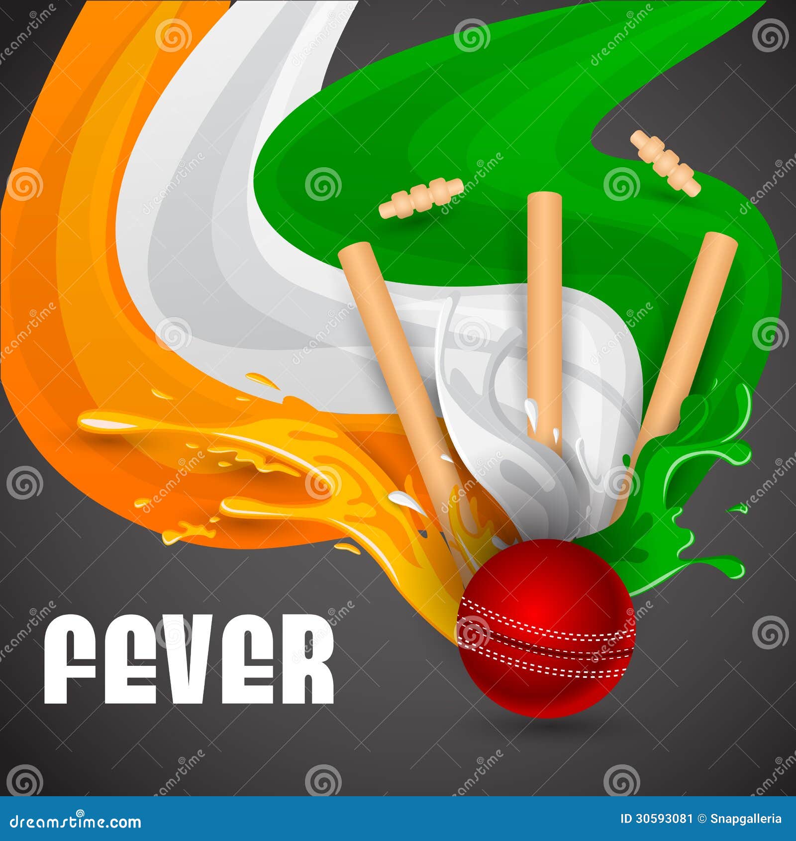 Cricket Match stock vector. Illustration of contest, shot - 30593081