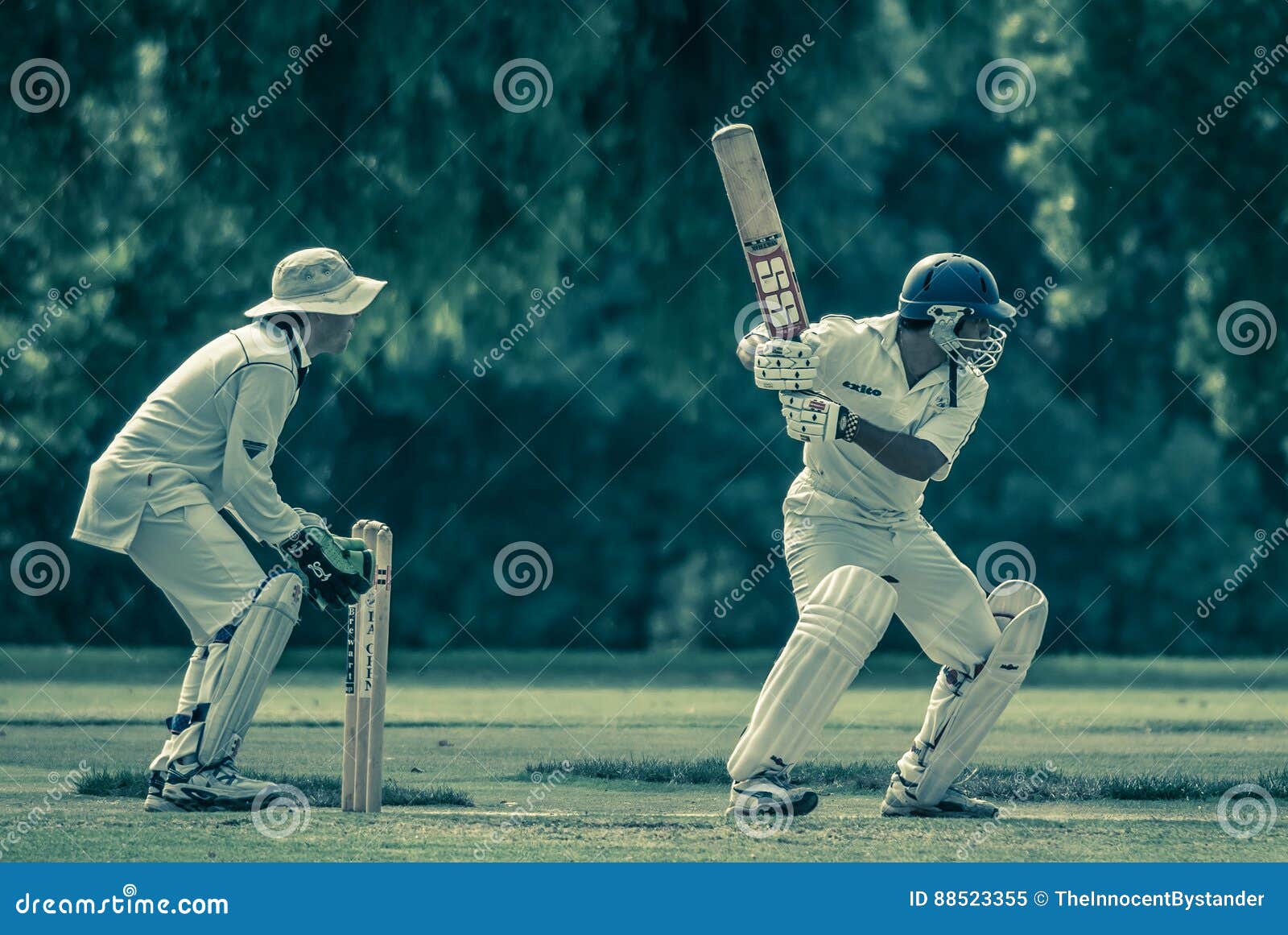 Cricket Match in the Park editorial image. Image of anticipation - 88523355