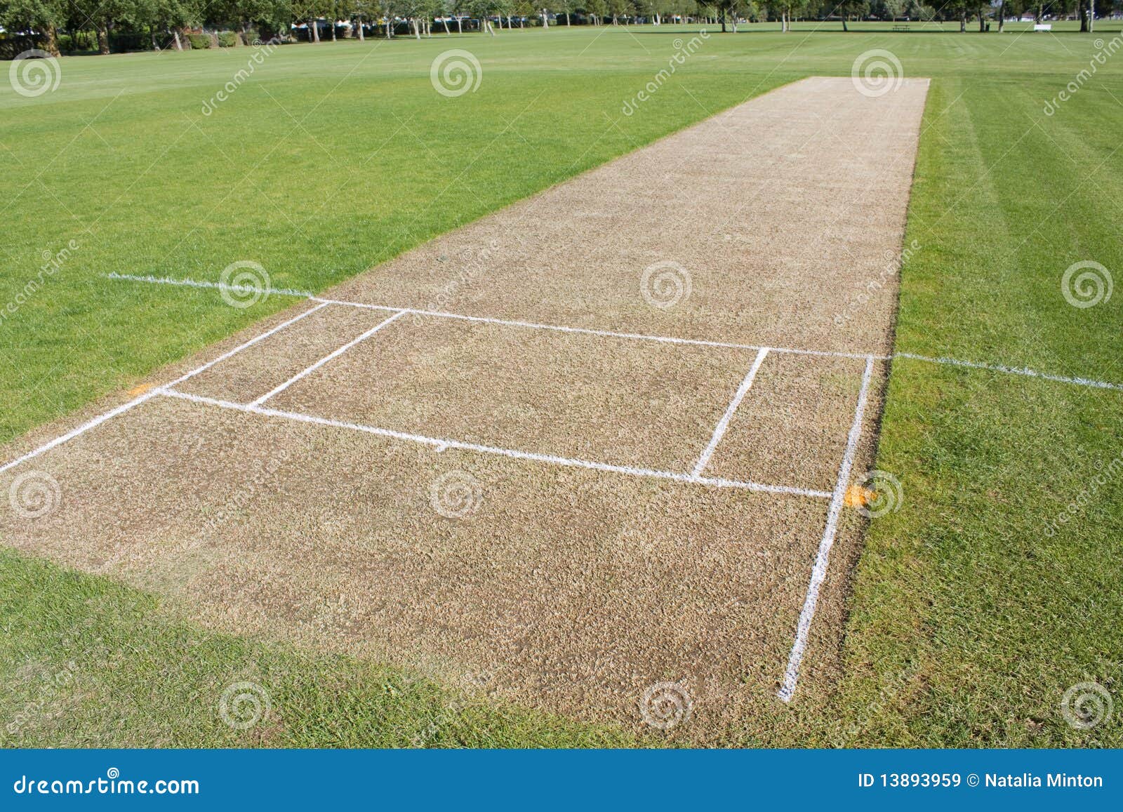 Cricket Pitch With Wicket And Stumps Royalty-Free Stock Image ...