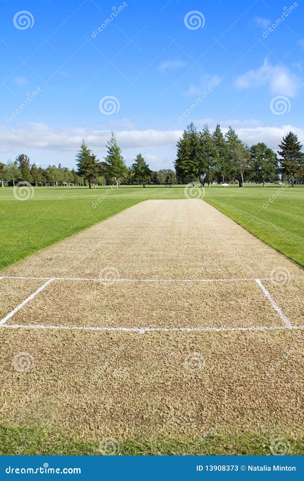 Cricket Pitch Empty Royalty-Free Stock Photography | CartoonDealer.com ...