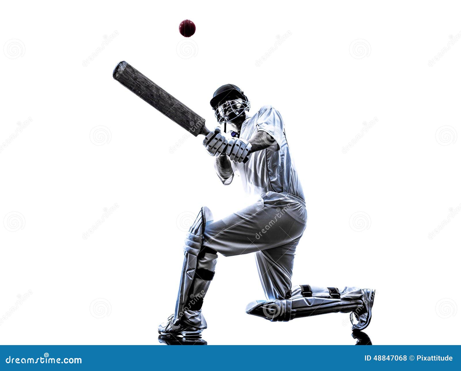 Cricket Player Batsman Silhouette Stock Photo - Image of isolated ...