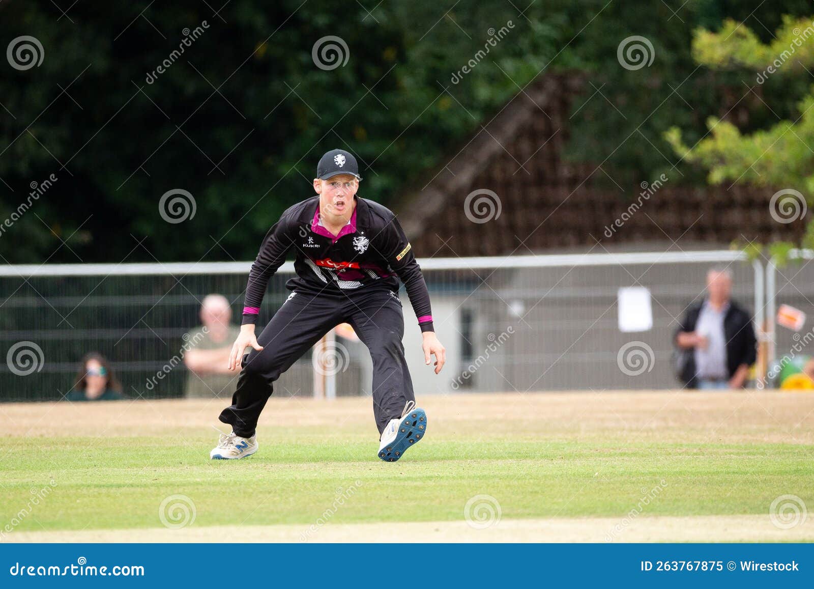 Cricket Player James Rew from Somerset CCC in a Match Editorial Image ...