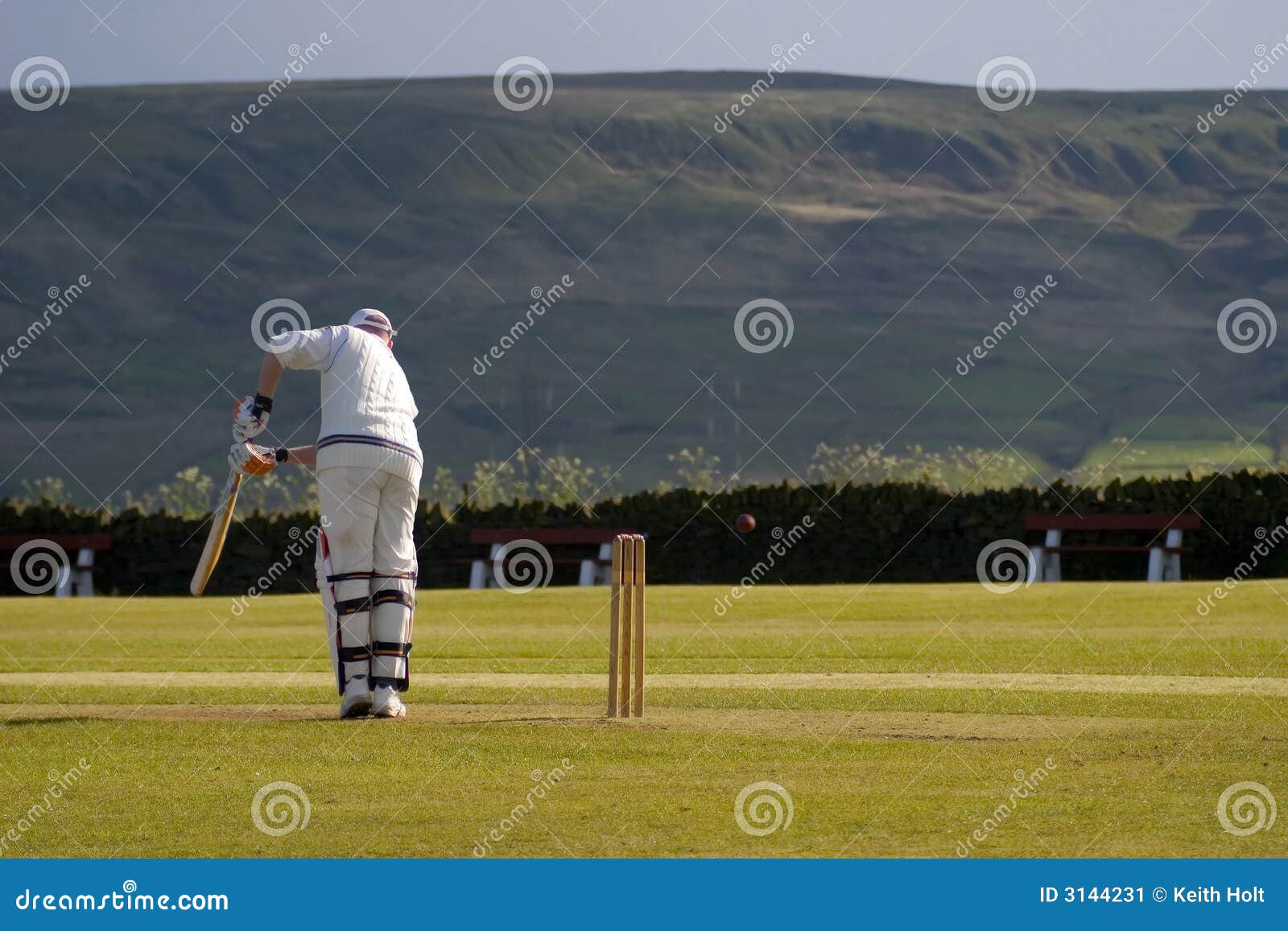 Cricket Player Missing Ball Stock Image - Image of health, male: 3144231