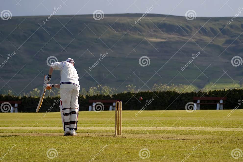 Cricket Player Missing Ball Stock Image - Image of health, male: 3144231