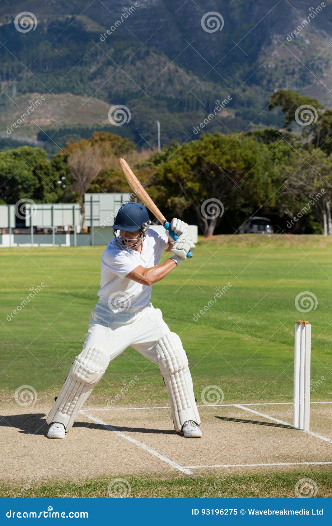 Cricket Player Practicing on Field Stock Image - Image of people, male ...
