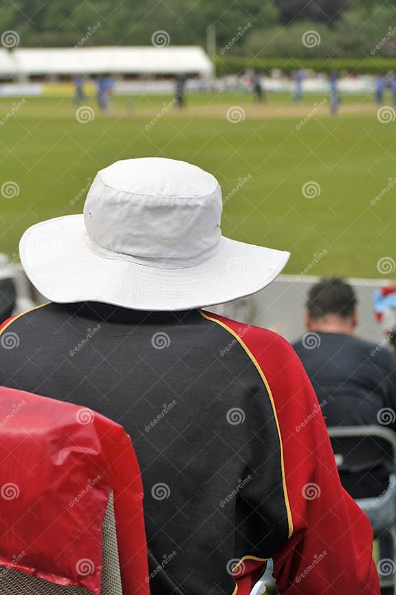 Cricket spectator stock image. Image of bowl, match, audience - 843215