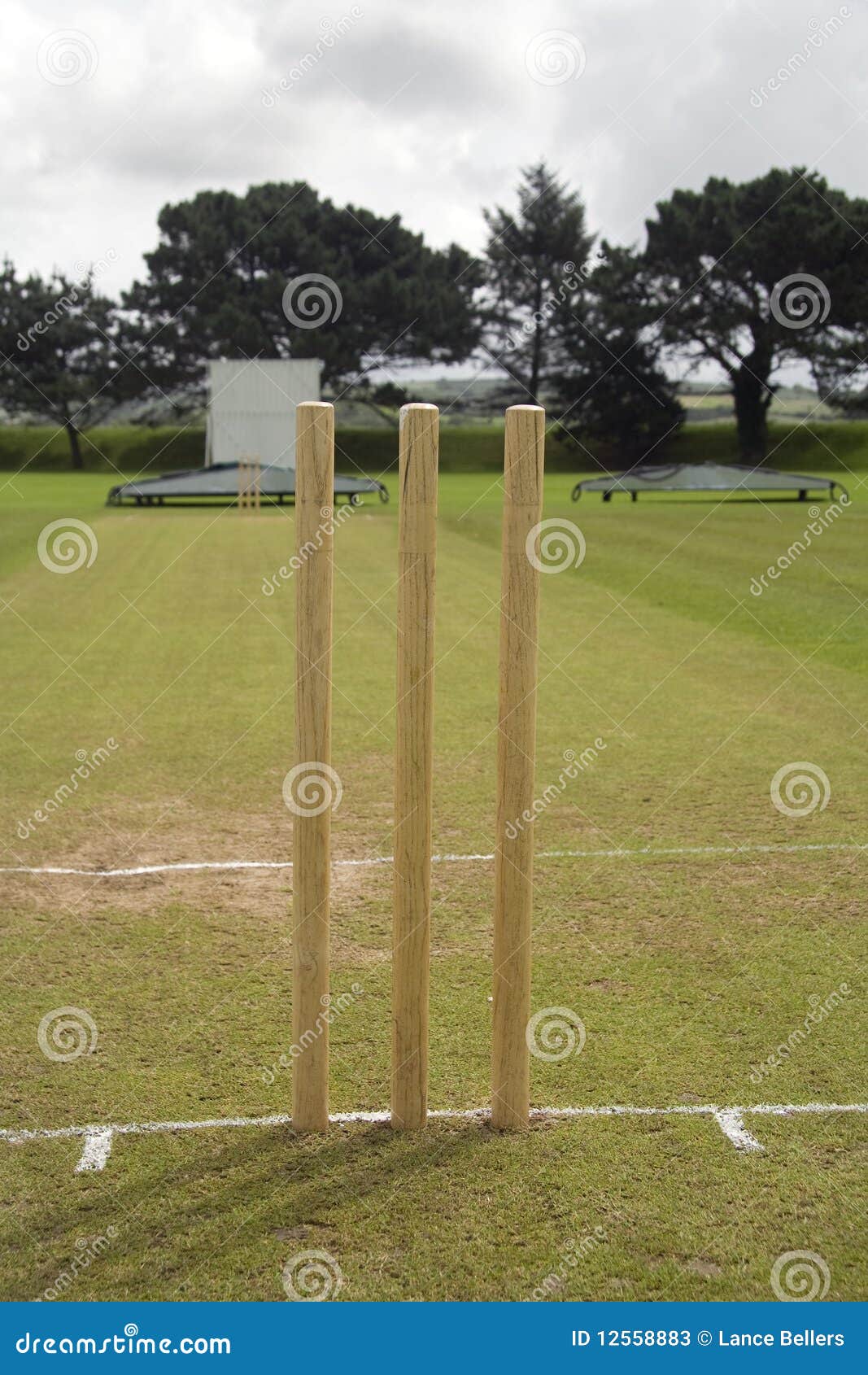 Cricket stumps stock image. Image of wicket, pitch, match - 12558883