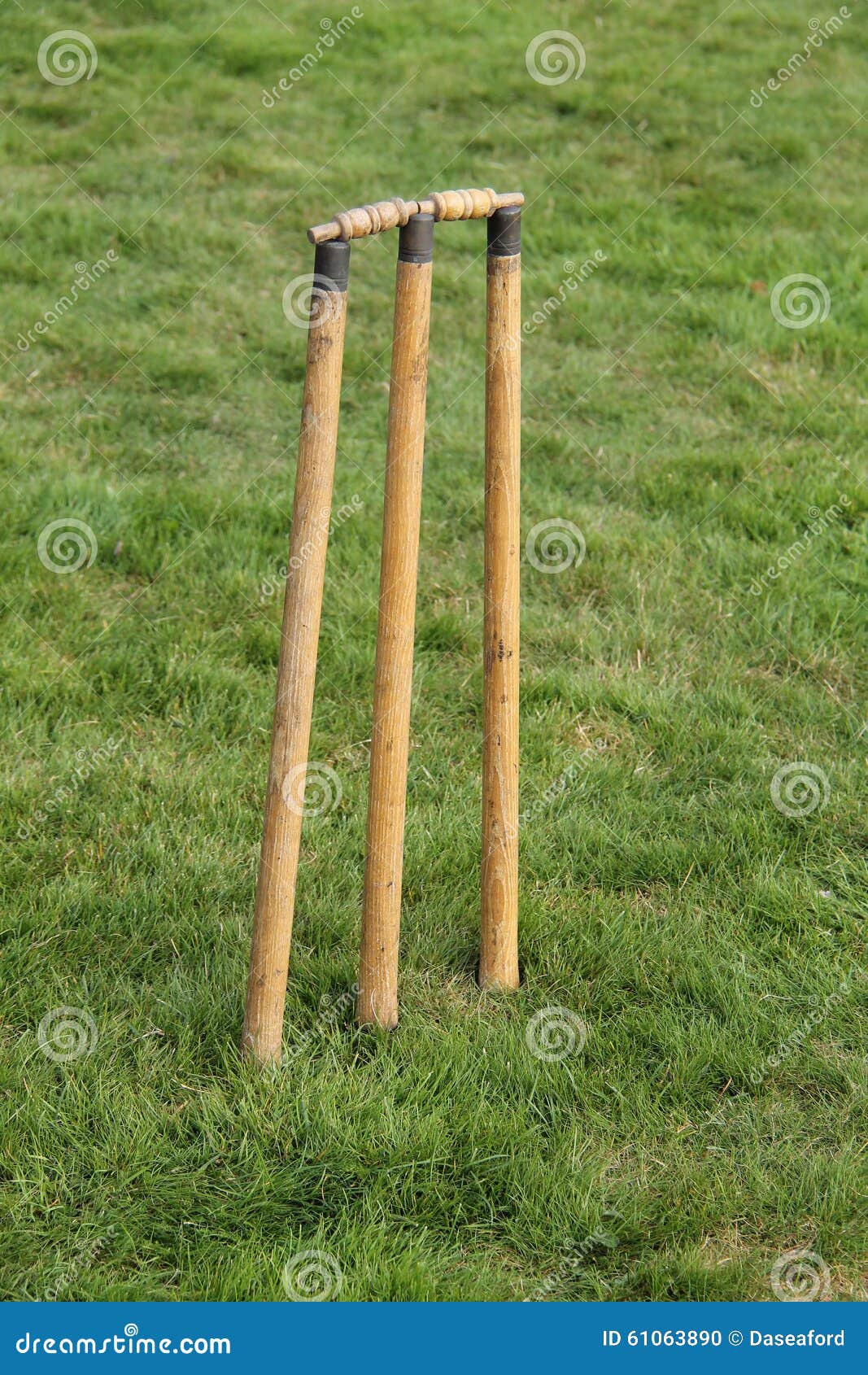 Cricket Stumps. stock photo. Image of wooden, cricket - 61063890