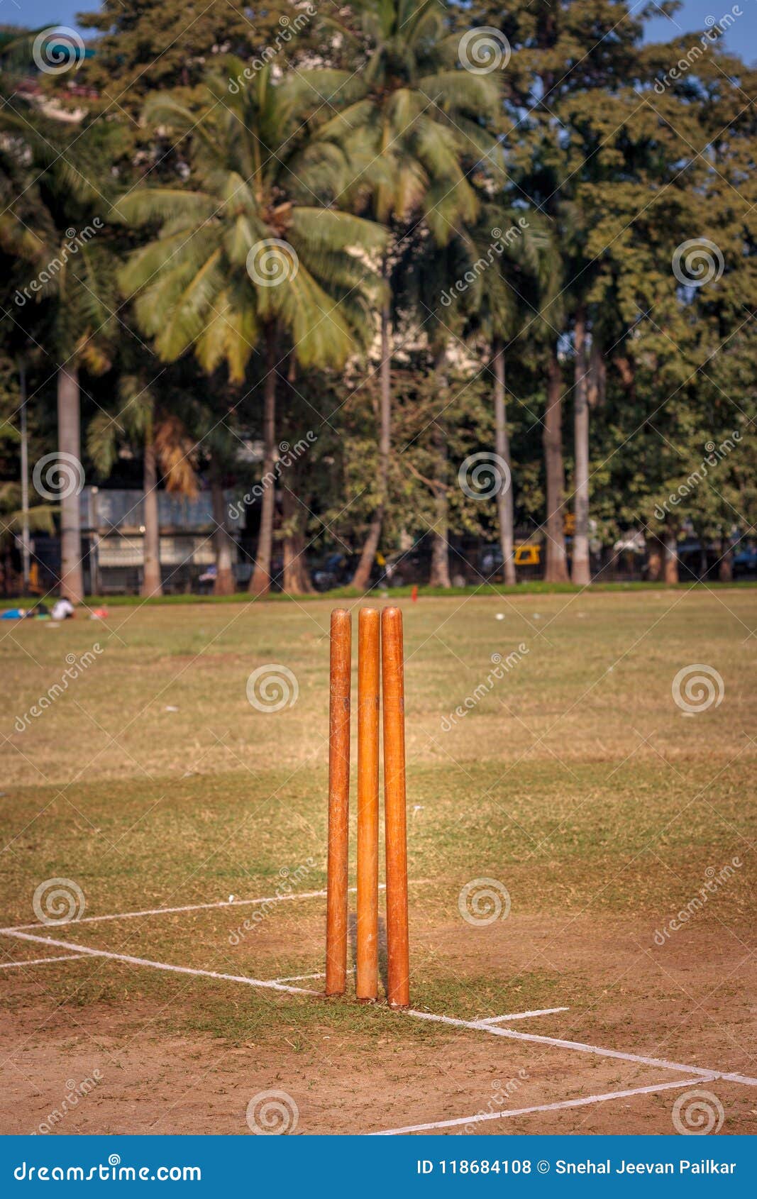 Cricket Stumps stock photo. Image of wood, equipment - 118684108