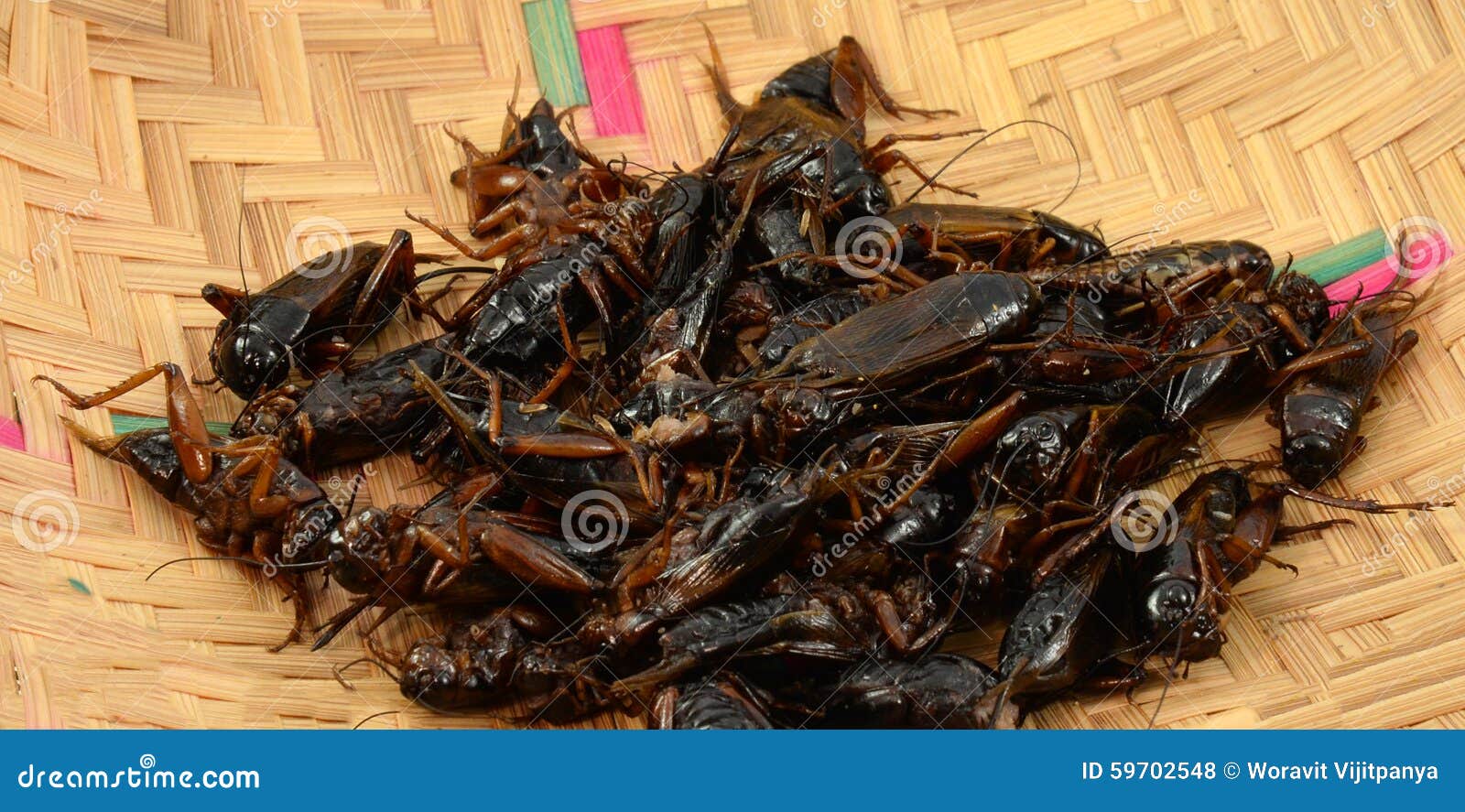 Cricket Threshing Basket Stock Photos - Free & Royalty-Free Stock ...