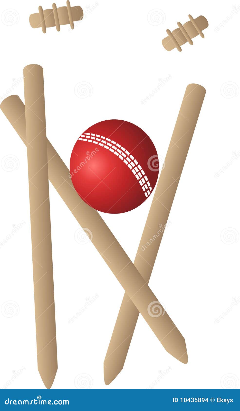 Cricket Equipment Bat Ball And Wicket Vector Illustration ...