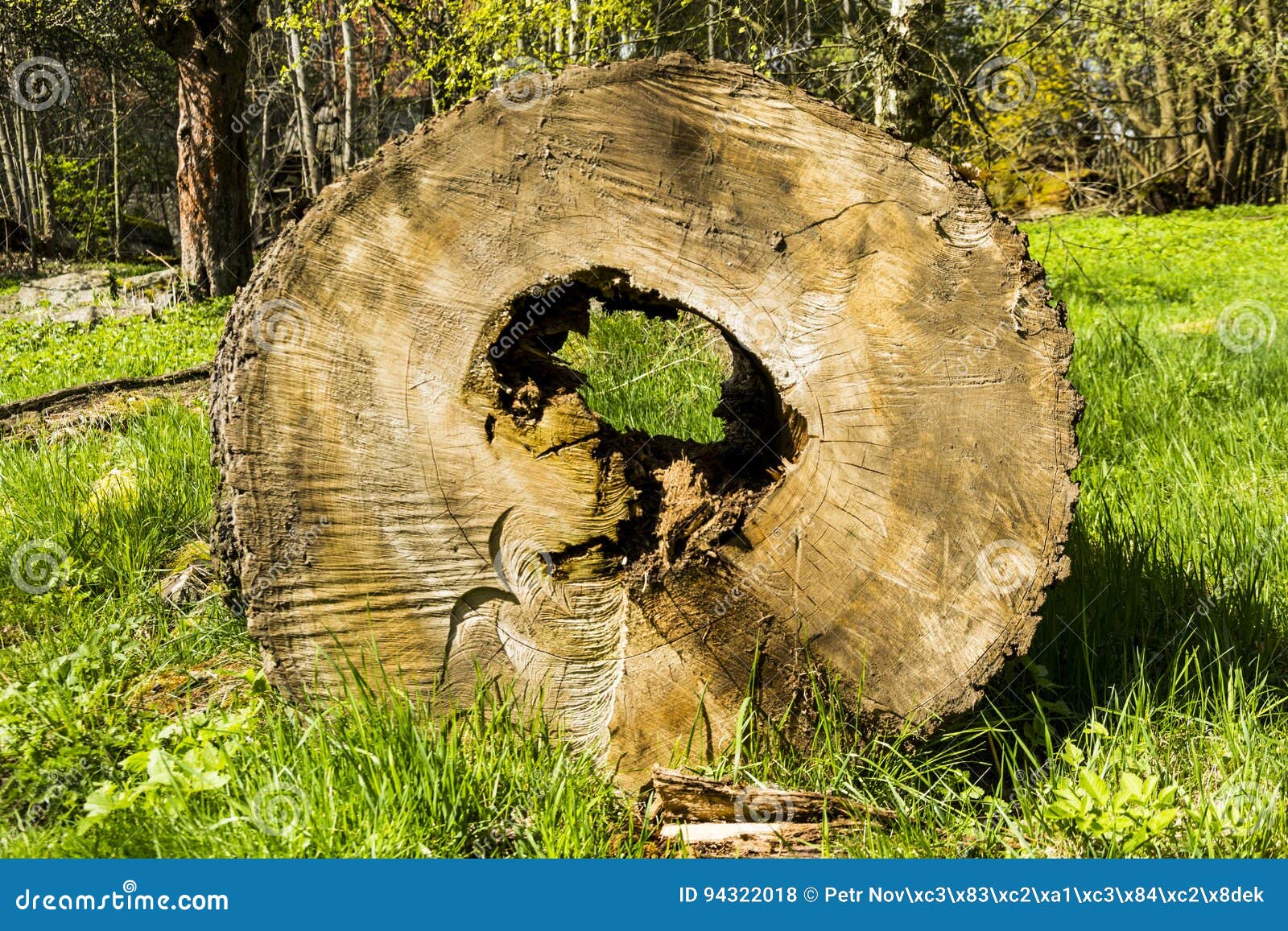 Cricle stock photo. Image of hole, circular, cross, wood - 94322018