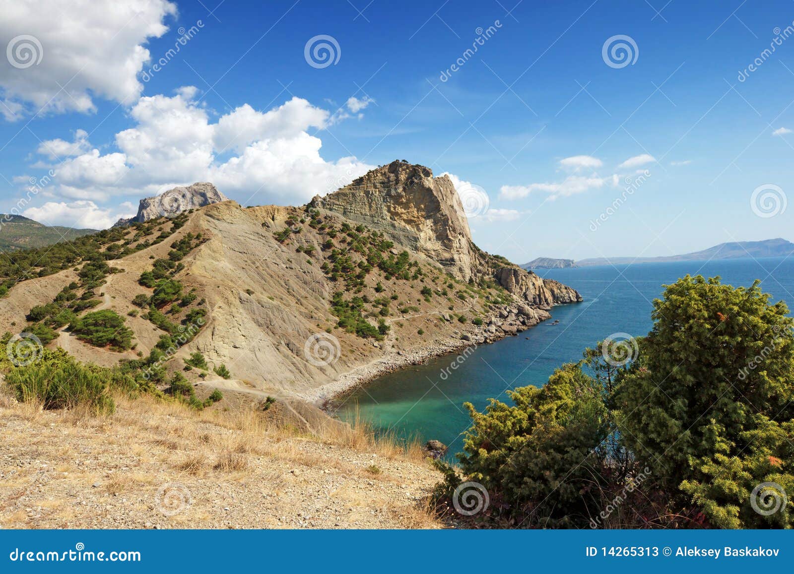 Crimea coast stock image. Image of beach, plant, azure - 14265313