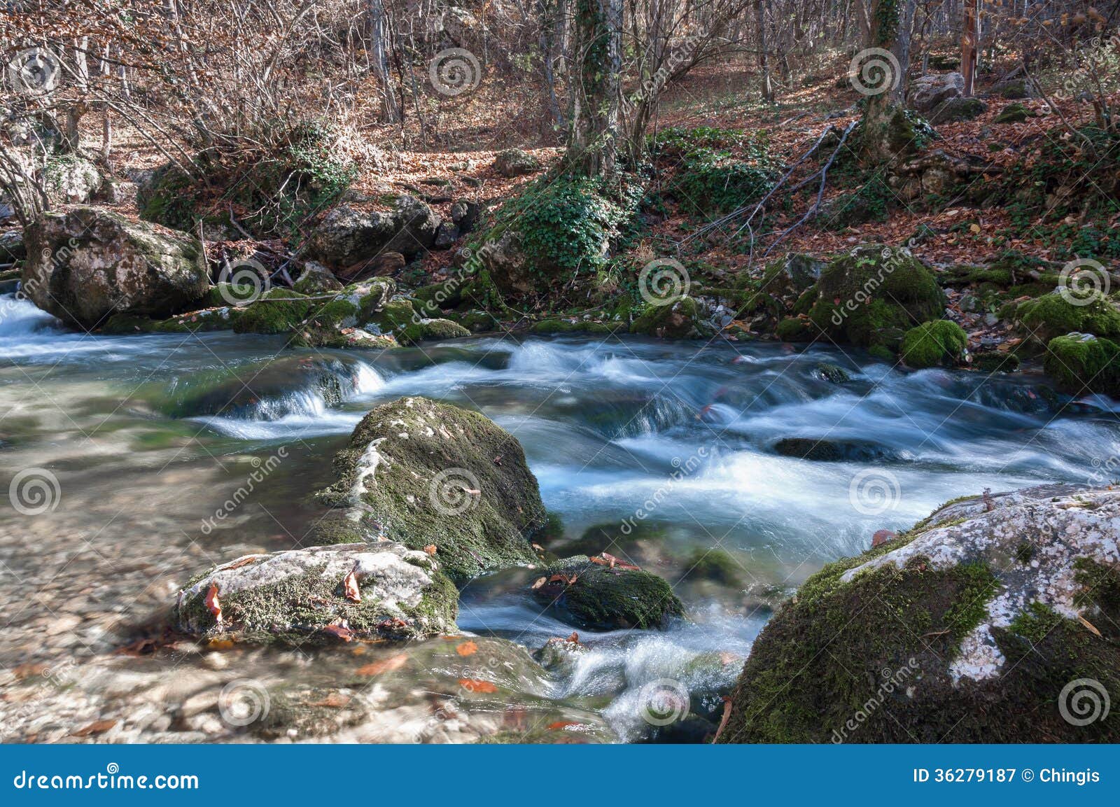 Crimea mountain rivers stock image. Image of fauna, time - 36279187