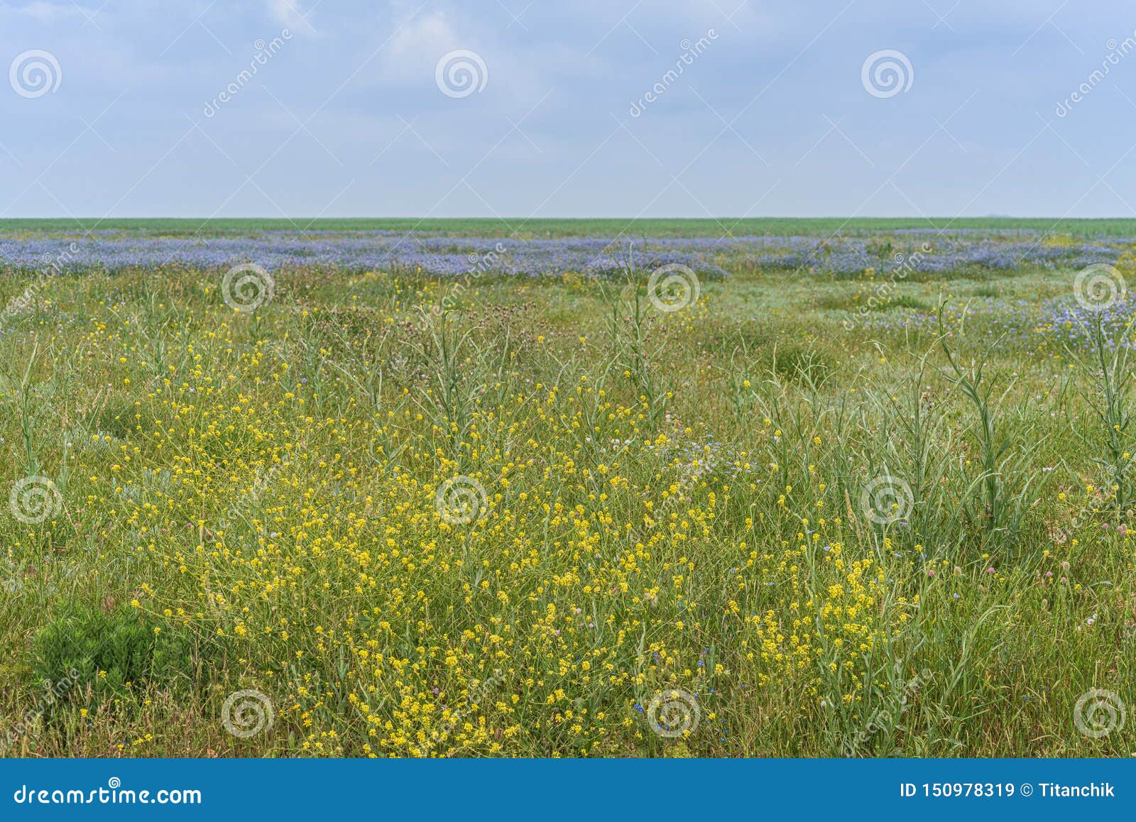 Crimea Steppe- Landscape Summer Stock Image - Image of nature, outdoor ...