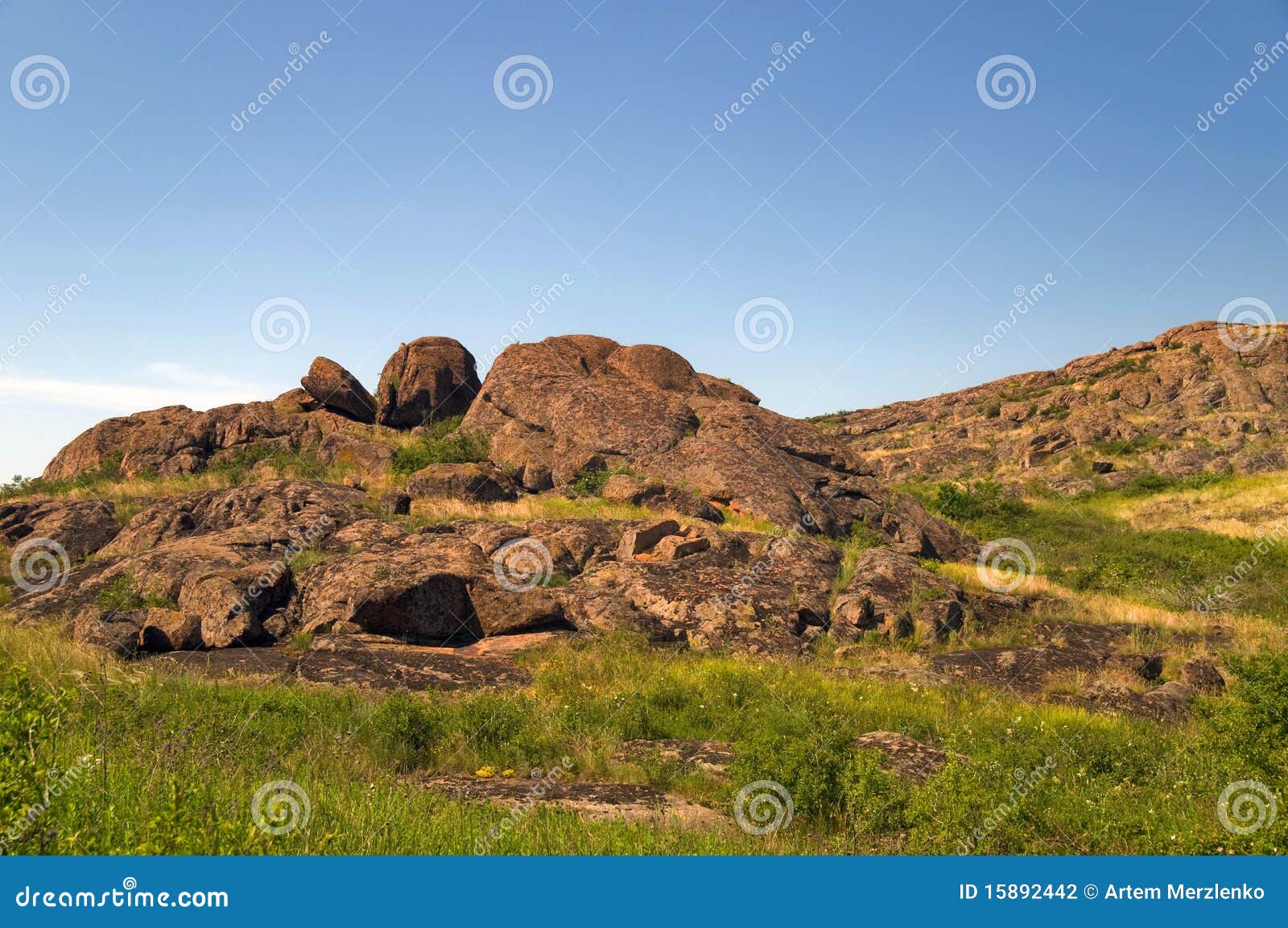 Crimea in Ukraine stock photo. Image of flower, europe - 15892442