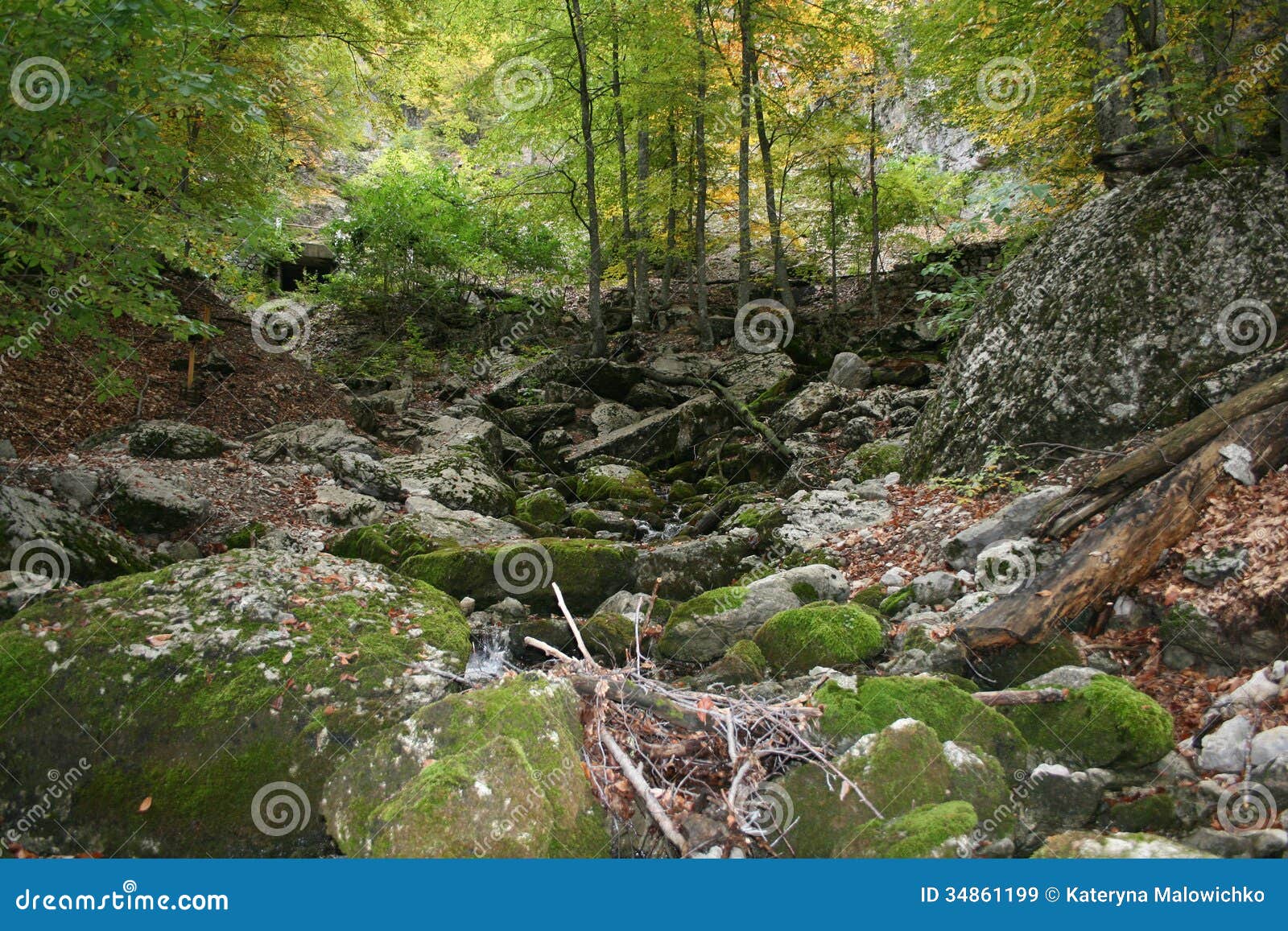 Crimean forest stock image. Image of trees, nature, mountains - 34861199