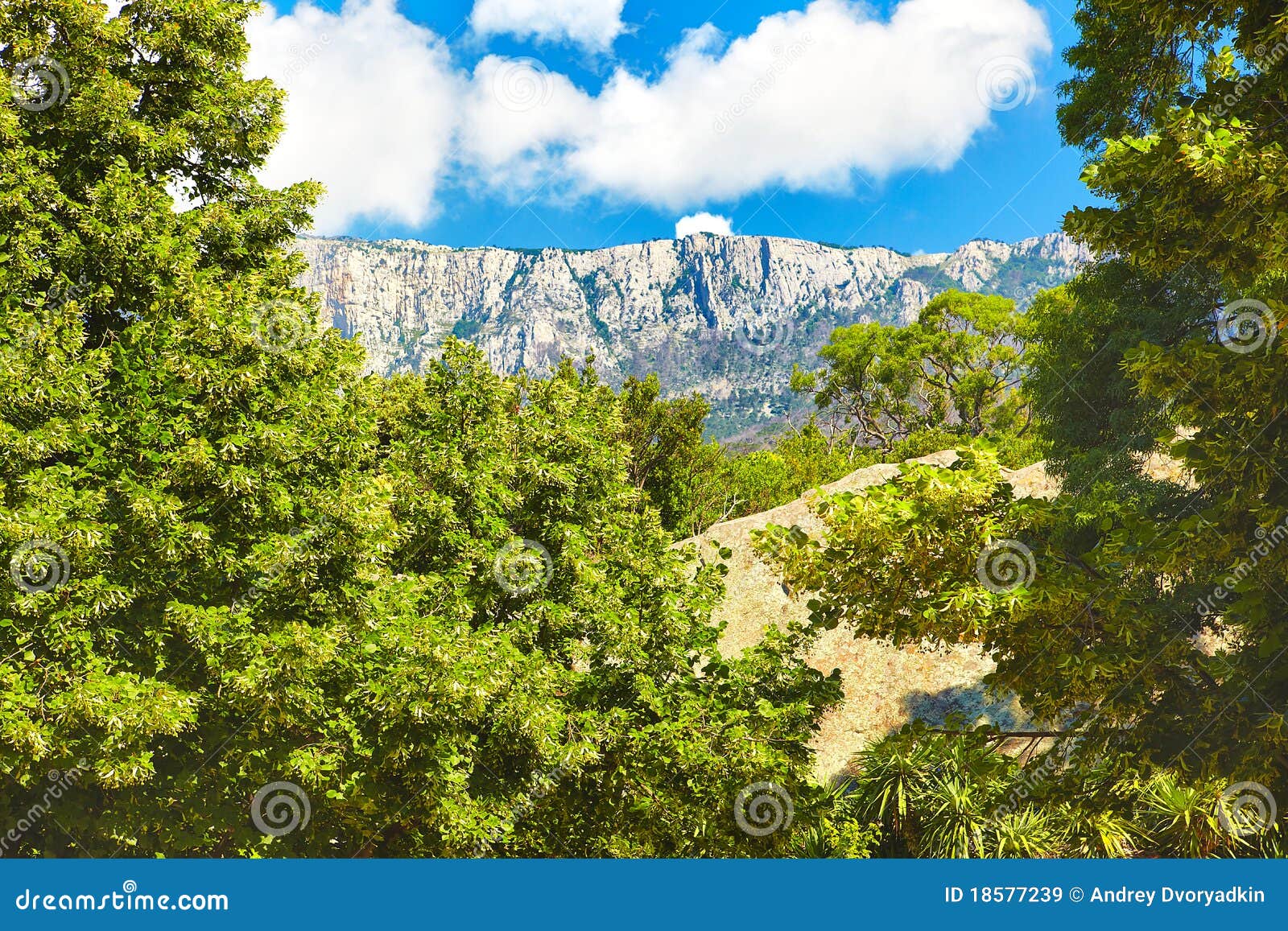 Crimean Mountains Wood and the Beautiful Nature Stock Image - Image of ...