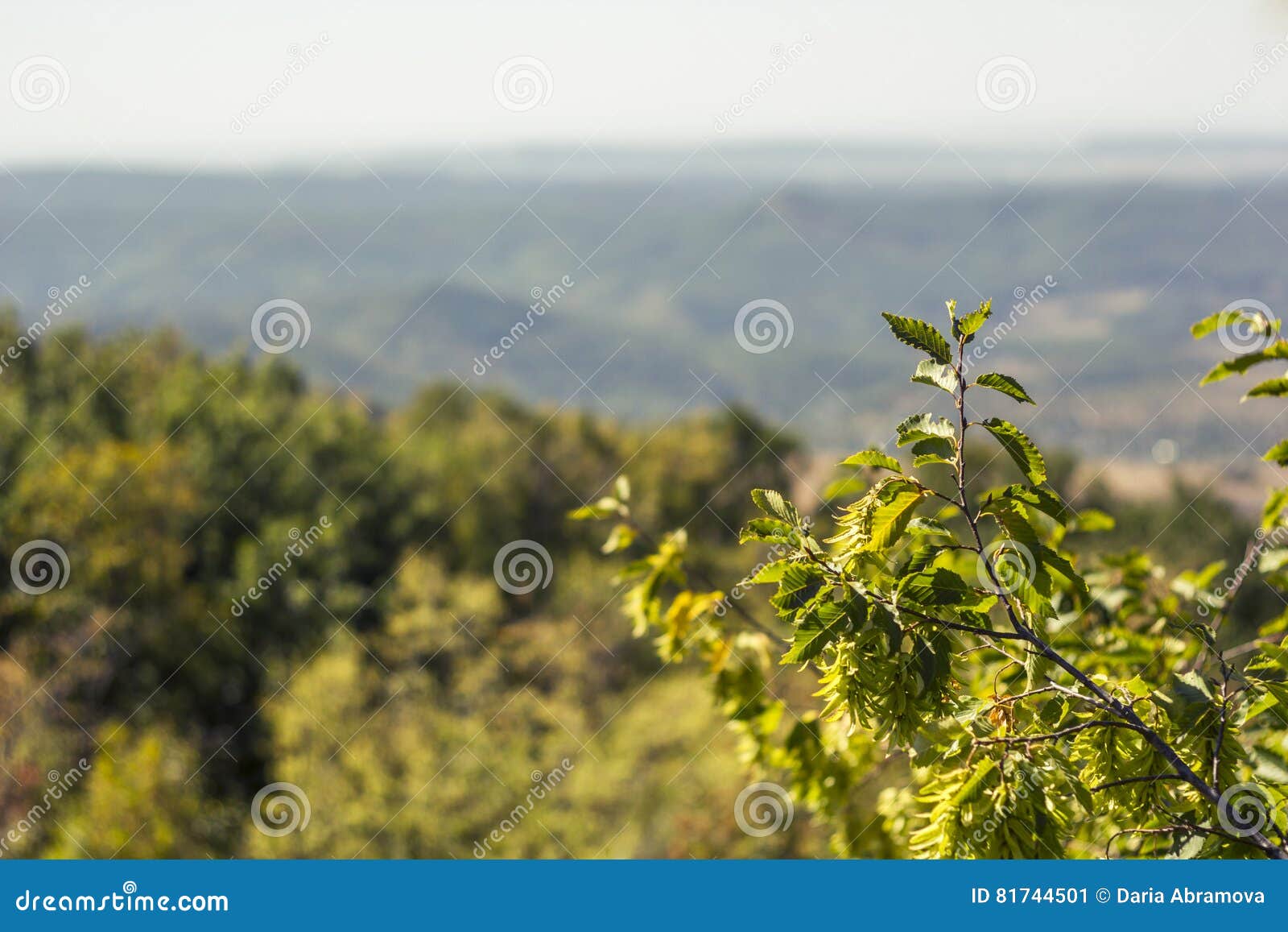 Crimean nature stock image. Image of russia, bright, crimea - 81744501