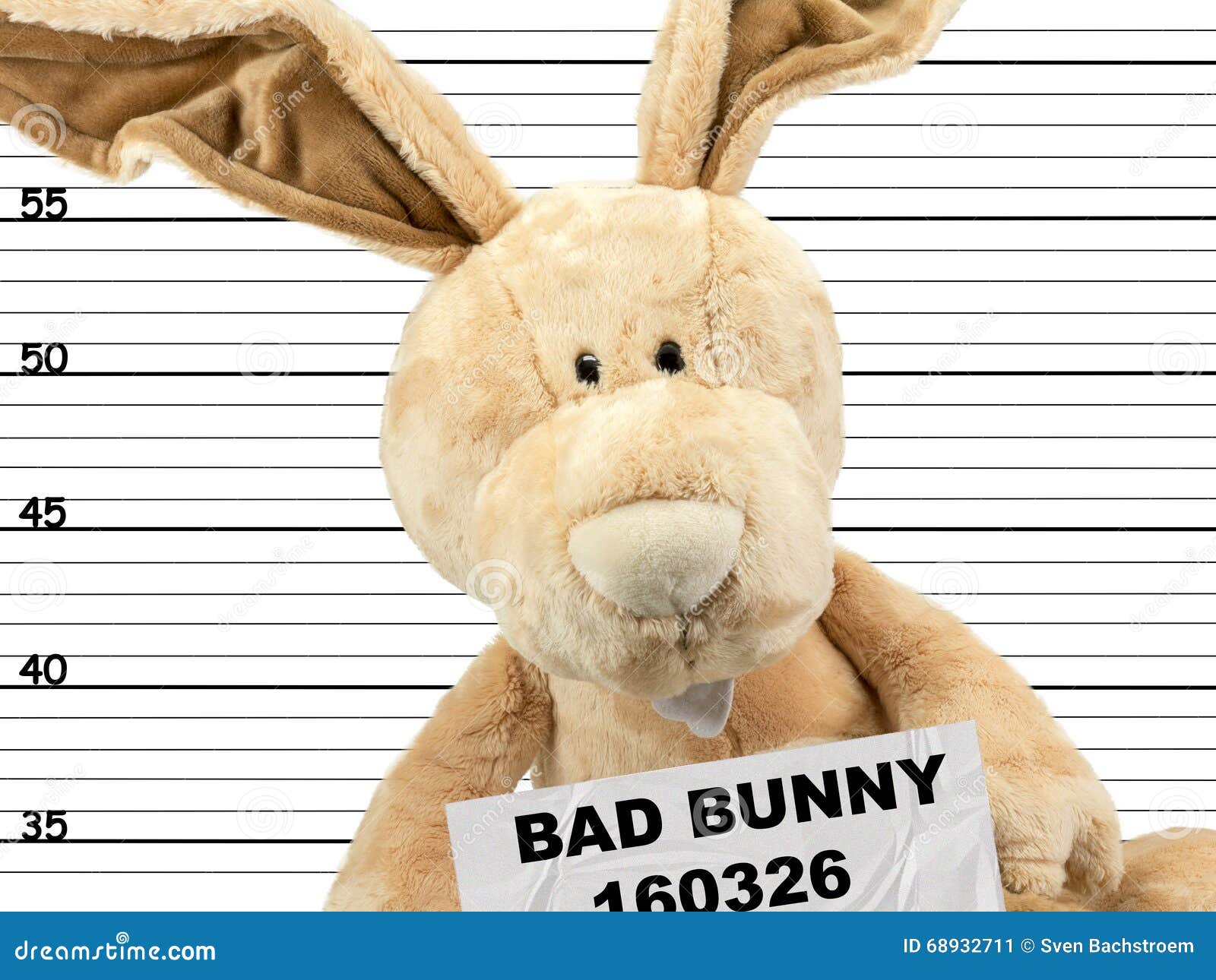Criminal bunny stock image. Image of bunny, placard, criminal - 68932711