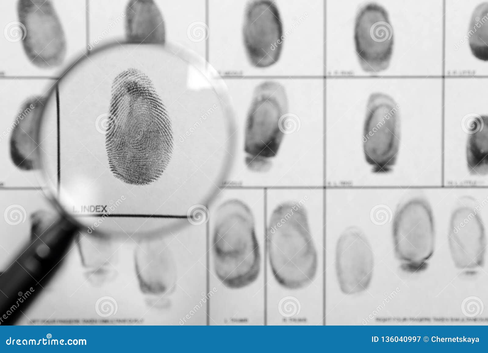 Criminal Fingerprint Card and Magnifier, Top View. Stock Image - Image ...