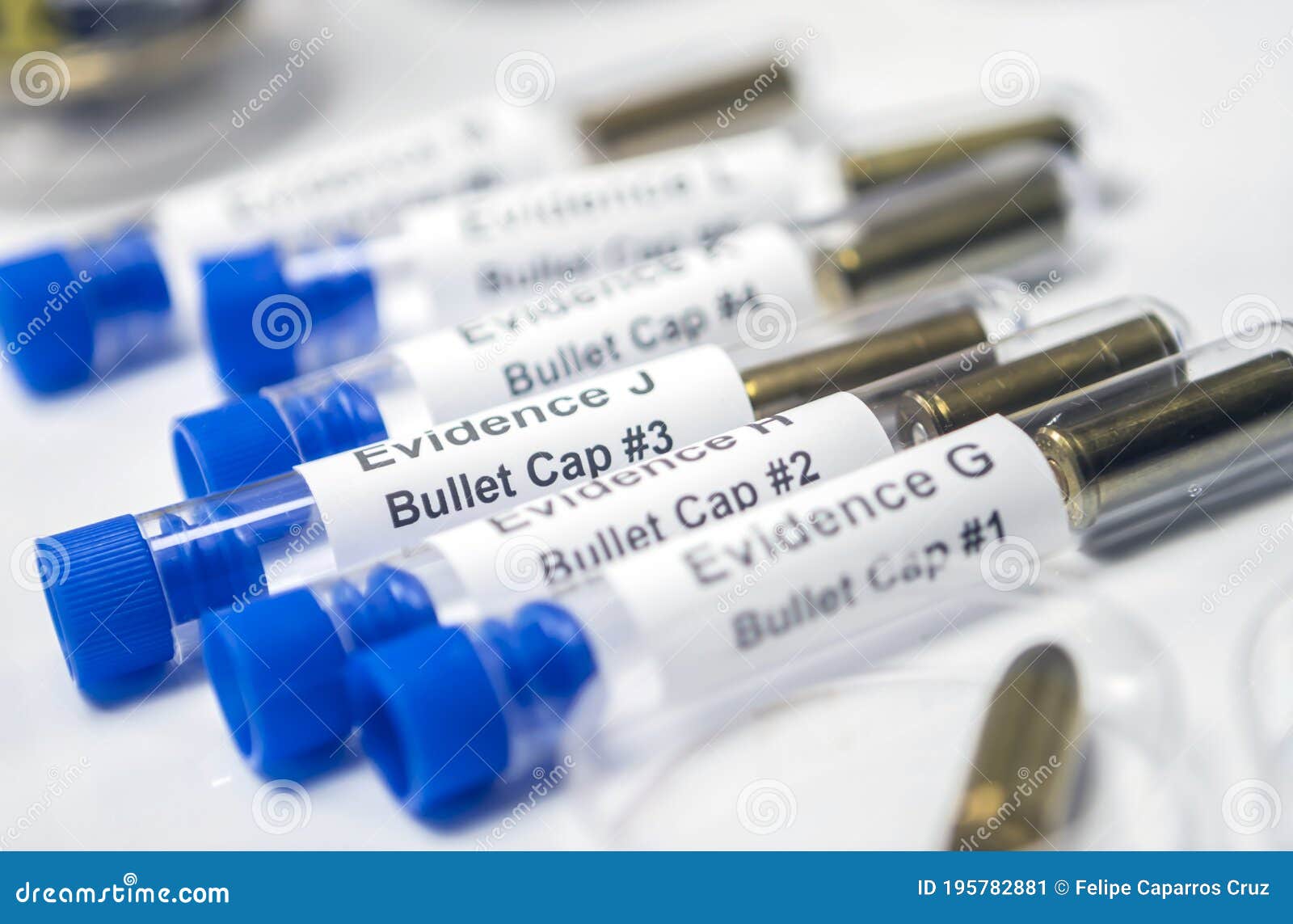 Criminalistic Laboratory, Scientific Police Officer Holds Bullet Tips ...
