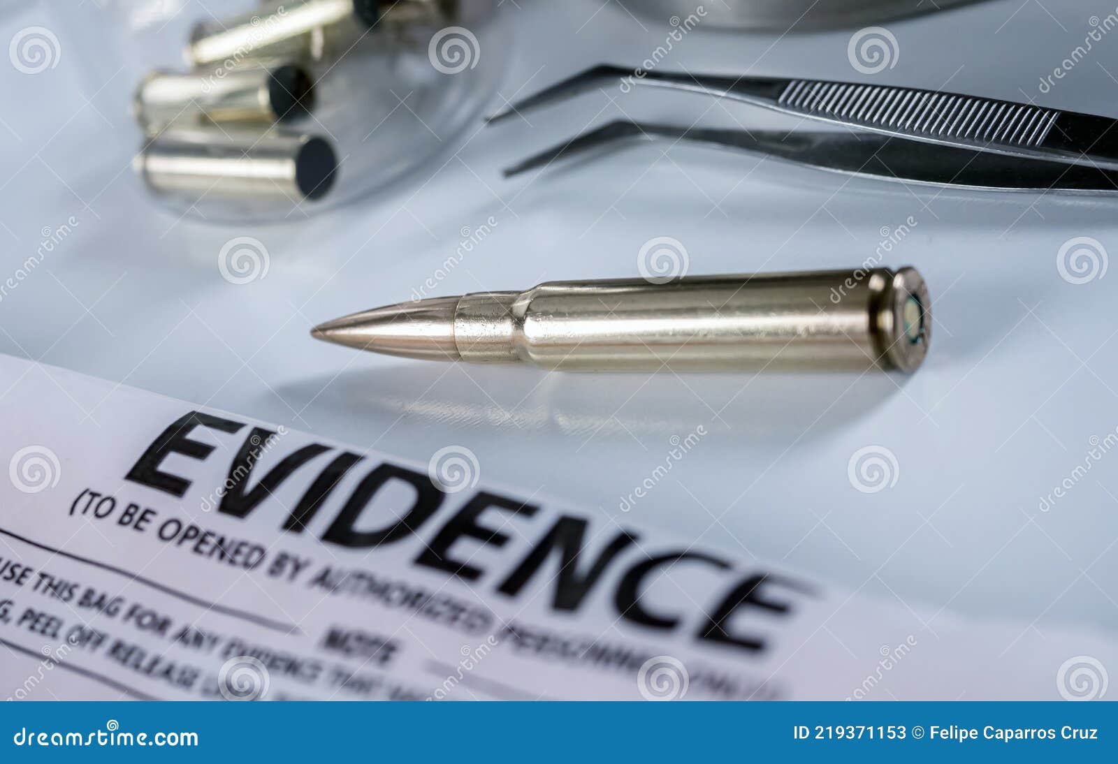 Criminalistic Laboratory, Scientific Police Officer Holds Bullet Tips ...