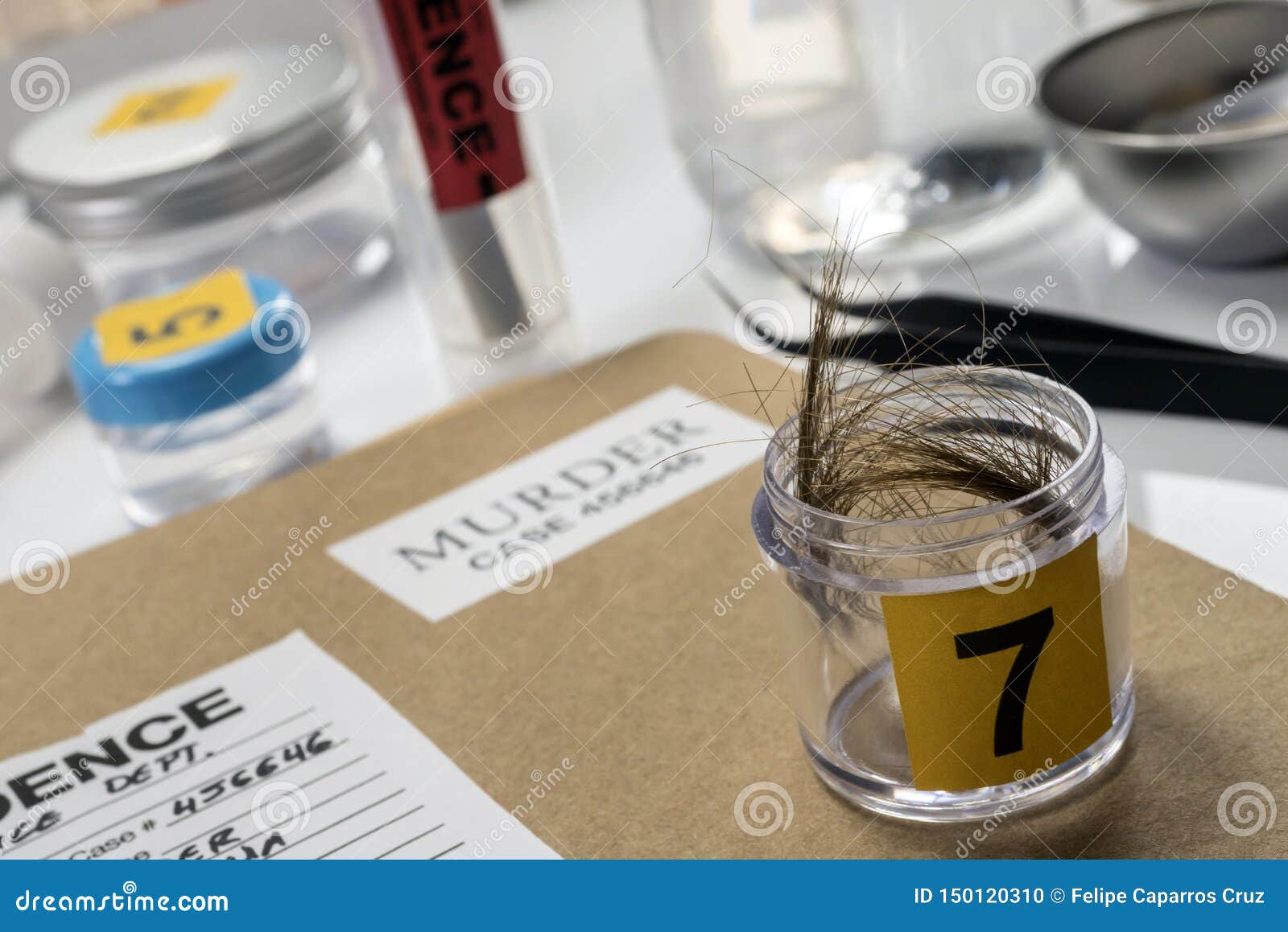 Criminalistic Laboratory, Hair Analysis Stock Photo - Image of ...