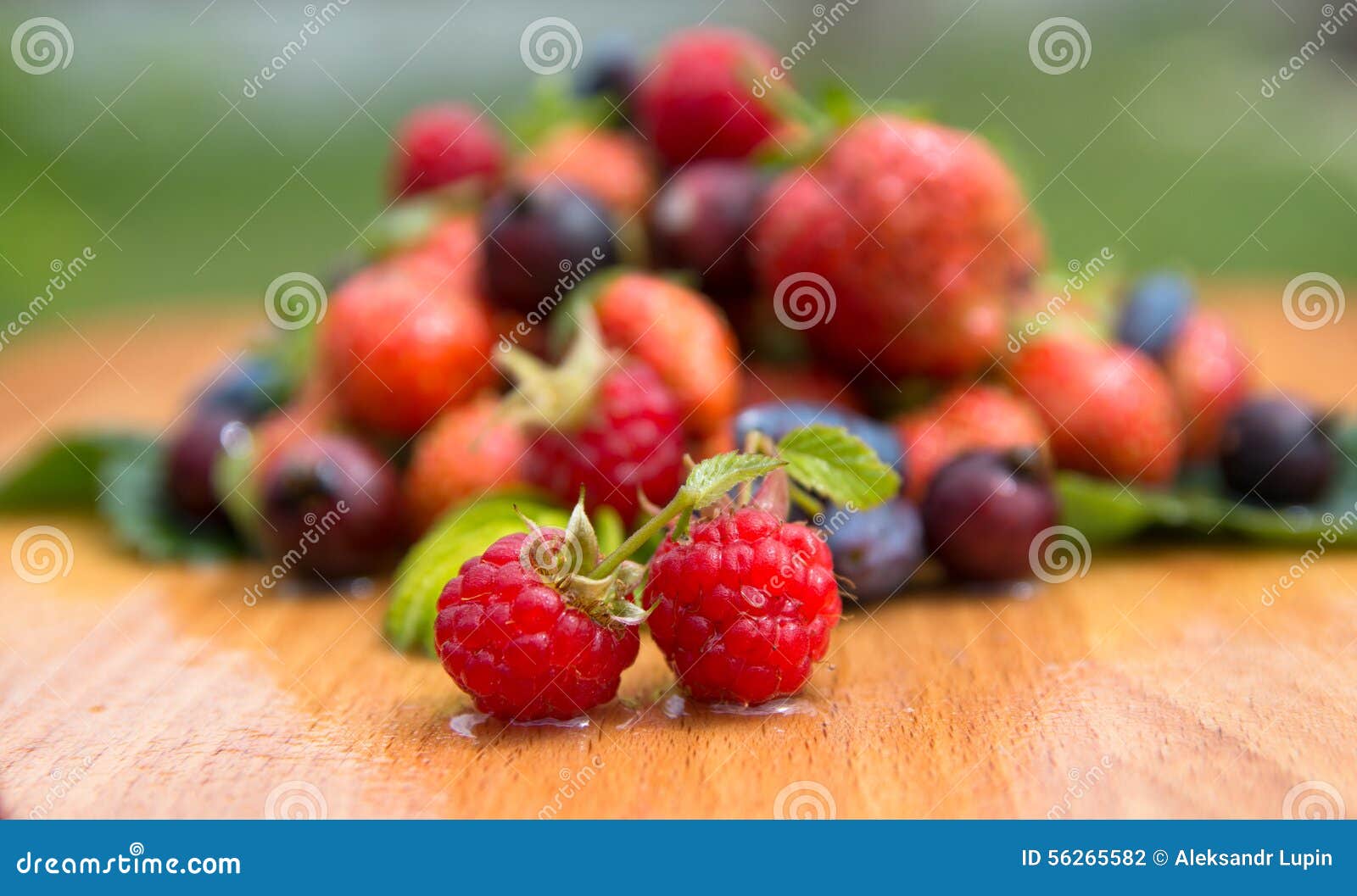 Crimson Steam Amid Berry Collection Stock Photo - Image of vitamins ...