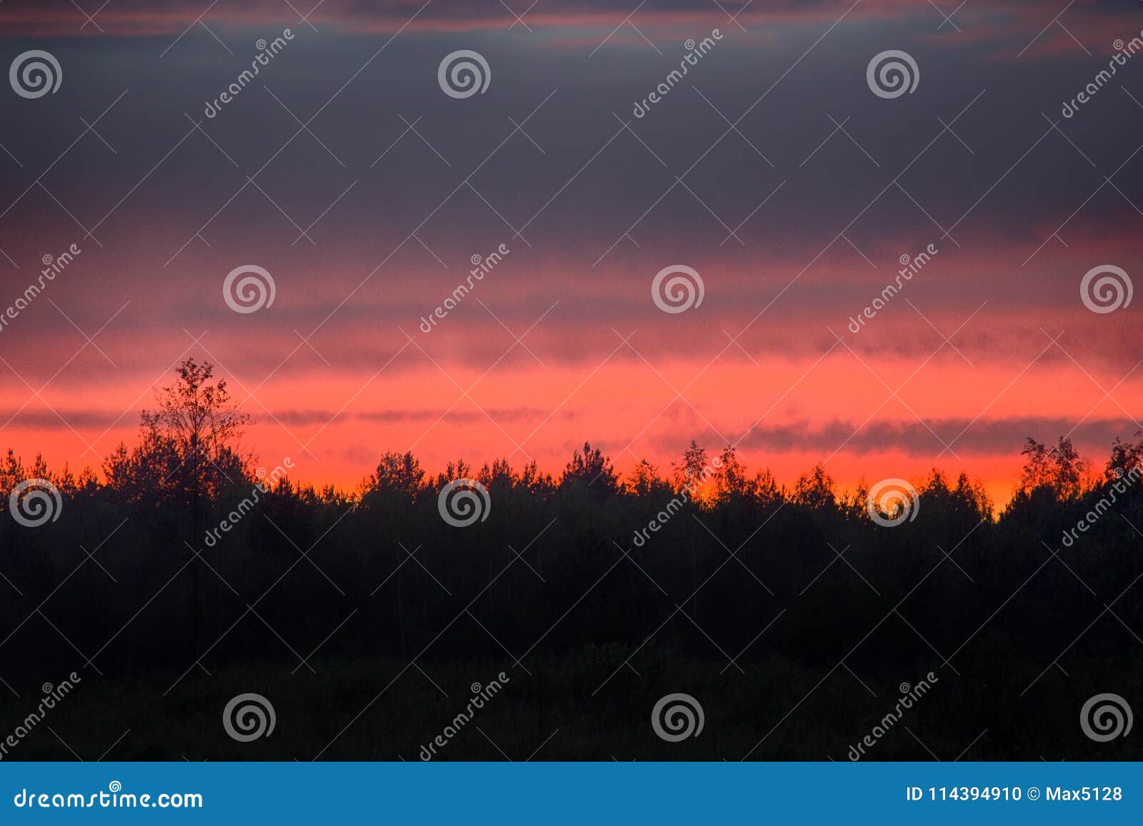 Crimson Sunset and Jagged Edge of Trees Stock Photo - Image of ...