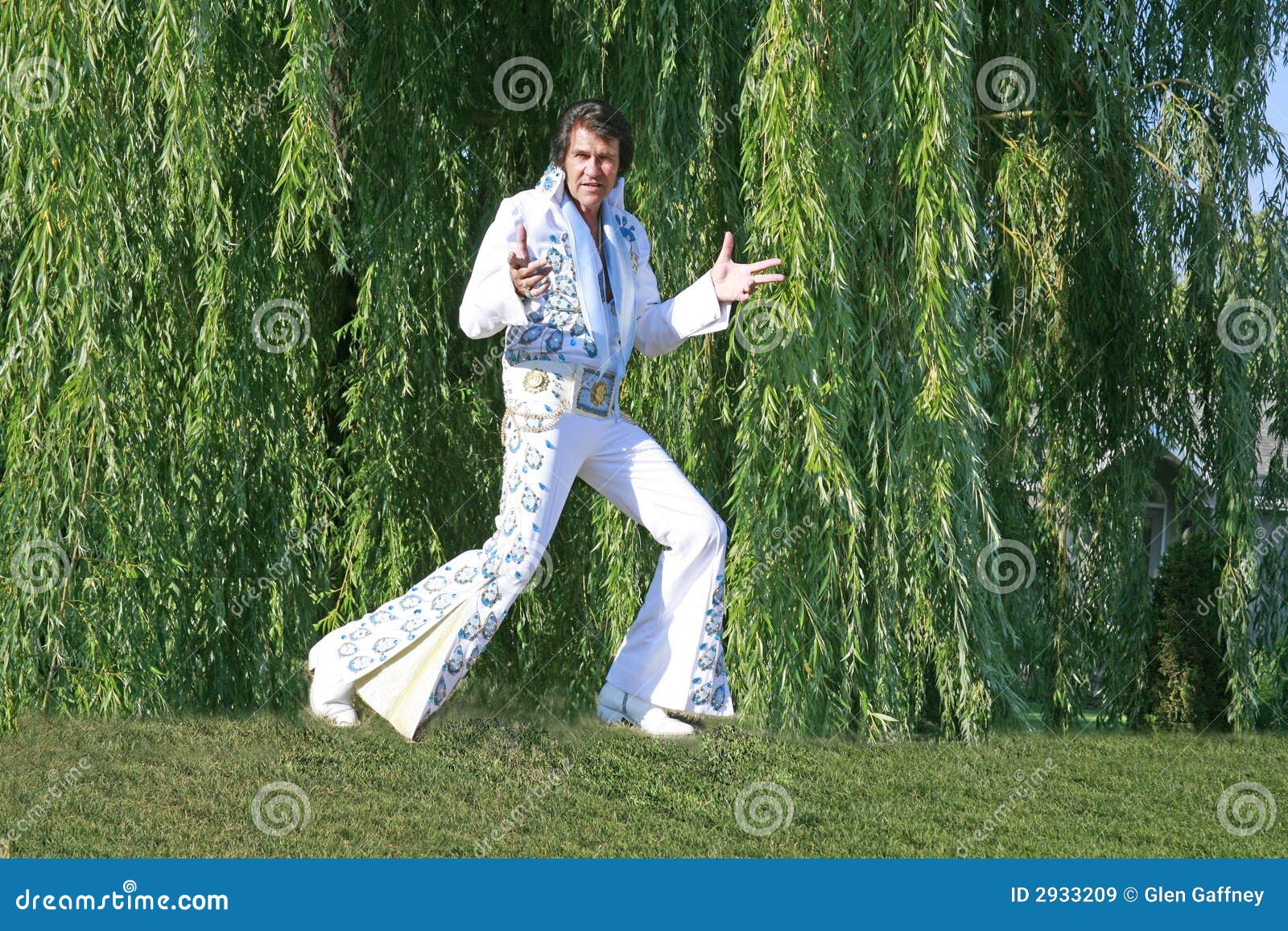 Criollo del rey imagen de archivo. Imagen de salto, alto - 2933209