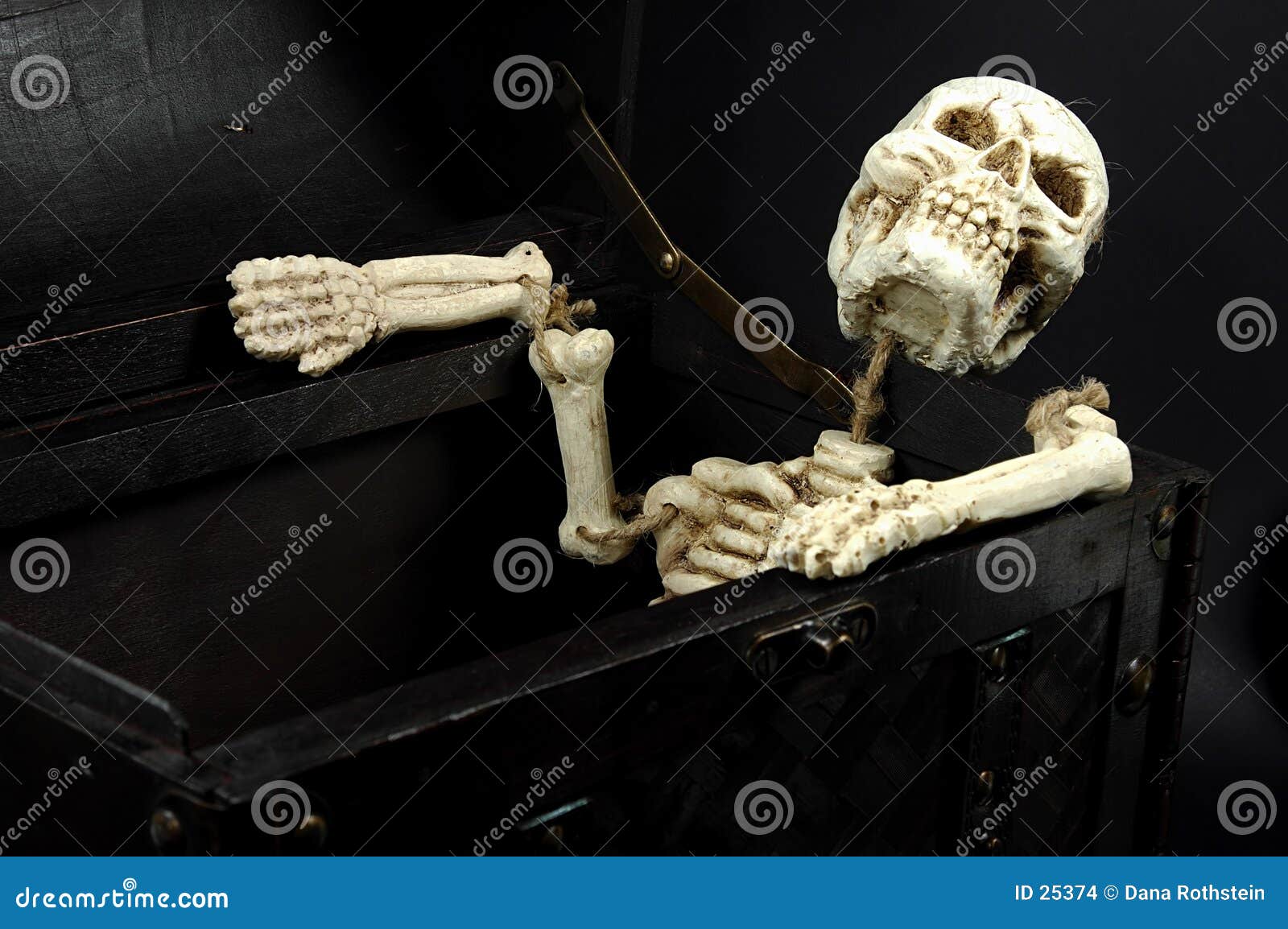 Skull Keeper Stock Photos - Free & Royalty-Free Stock Photos from ...