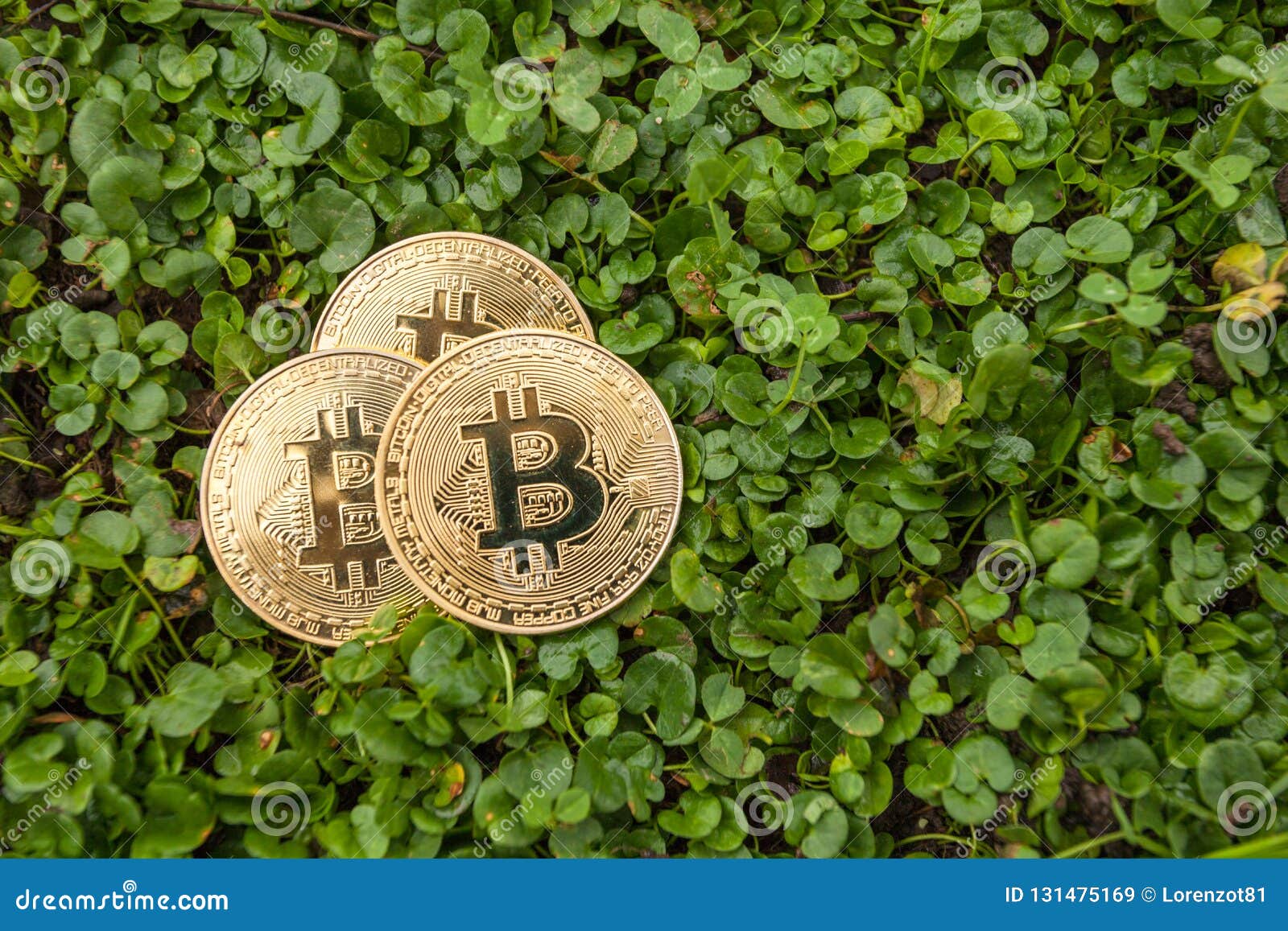 Criptocurrency: Bitcoin Power Consumption Sustainnability Stock Image ...
