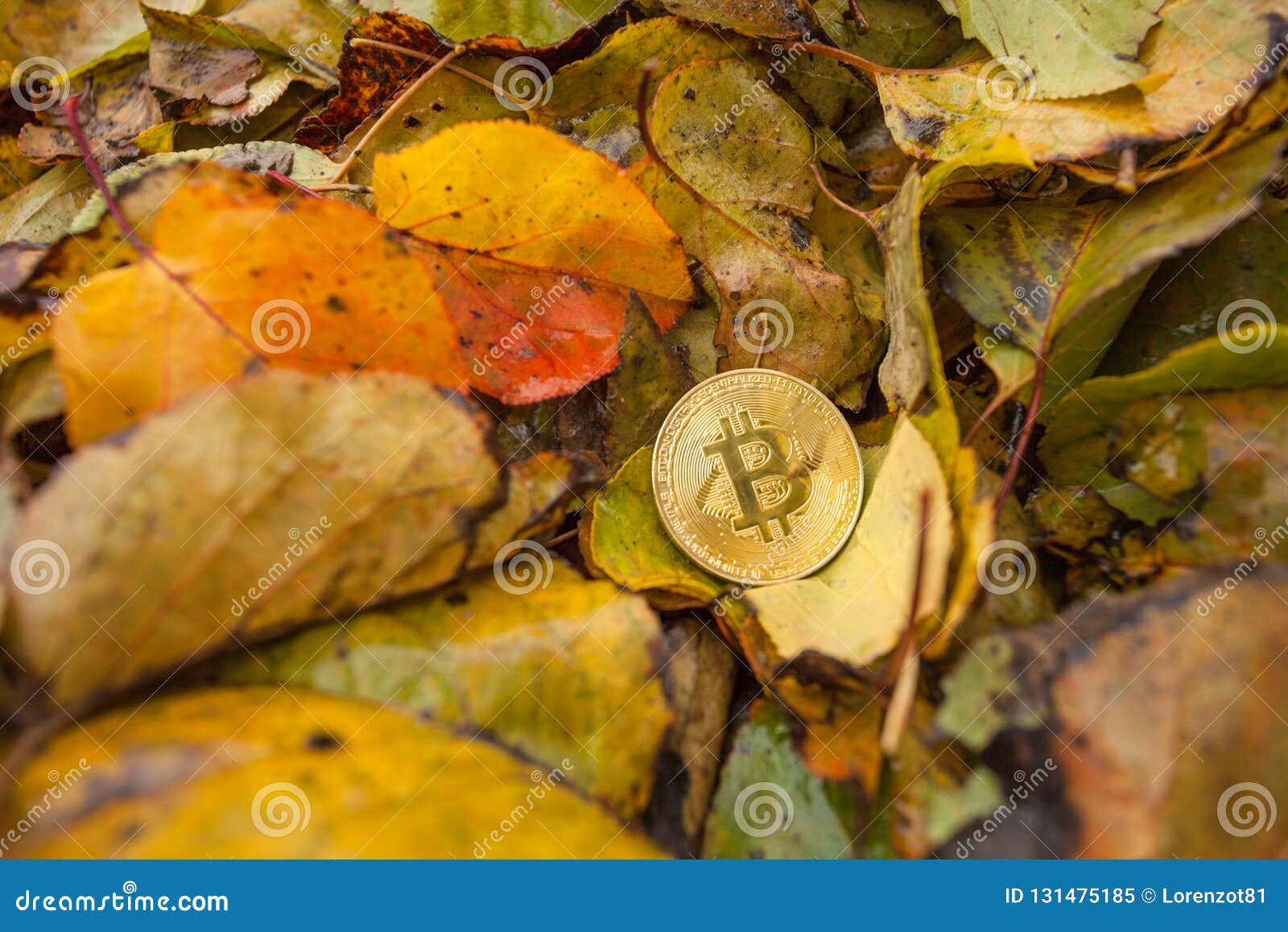 Criptocurrency: Bitcoin Power Consumption Sustainnability Stock Image ...