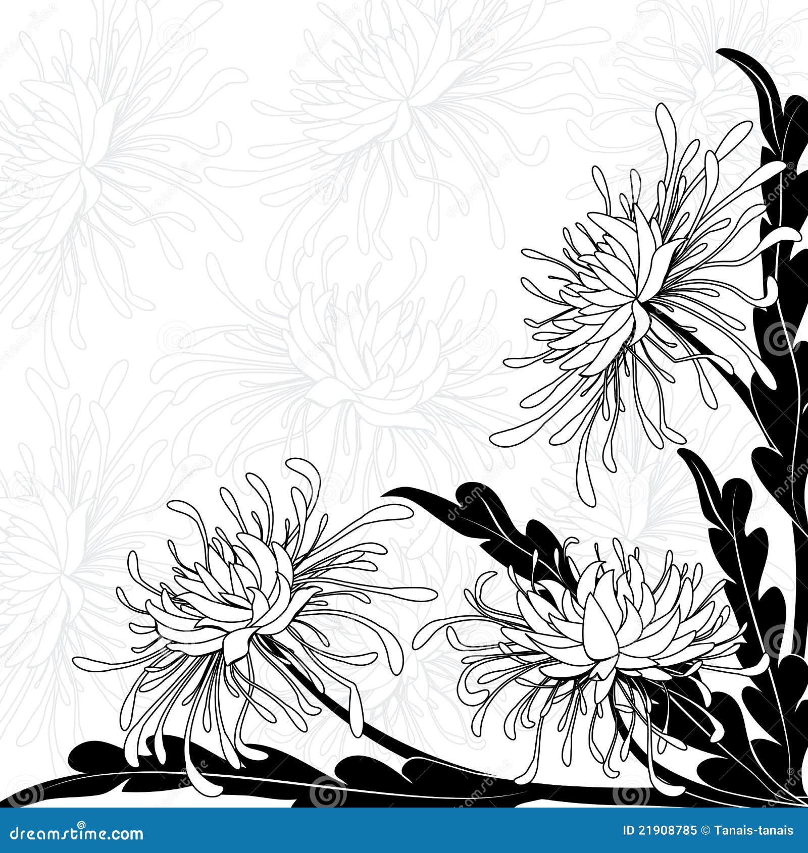 Crisantemo ilustración del vector. Ilustración de extracto - 21908785