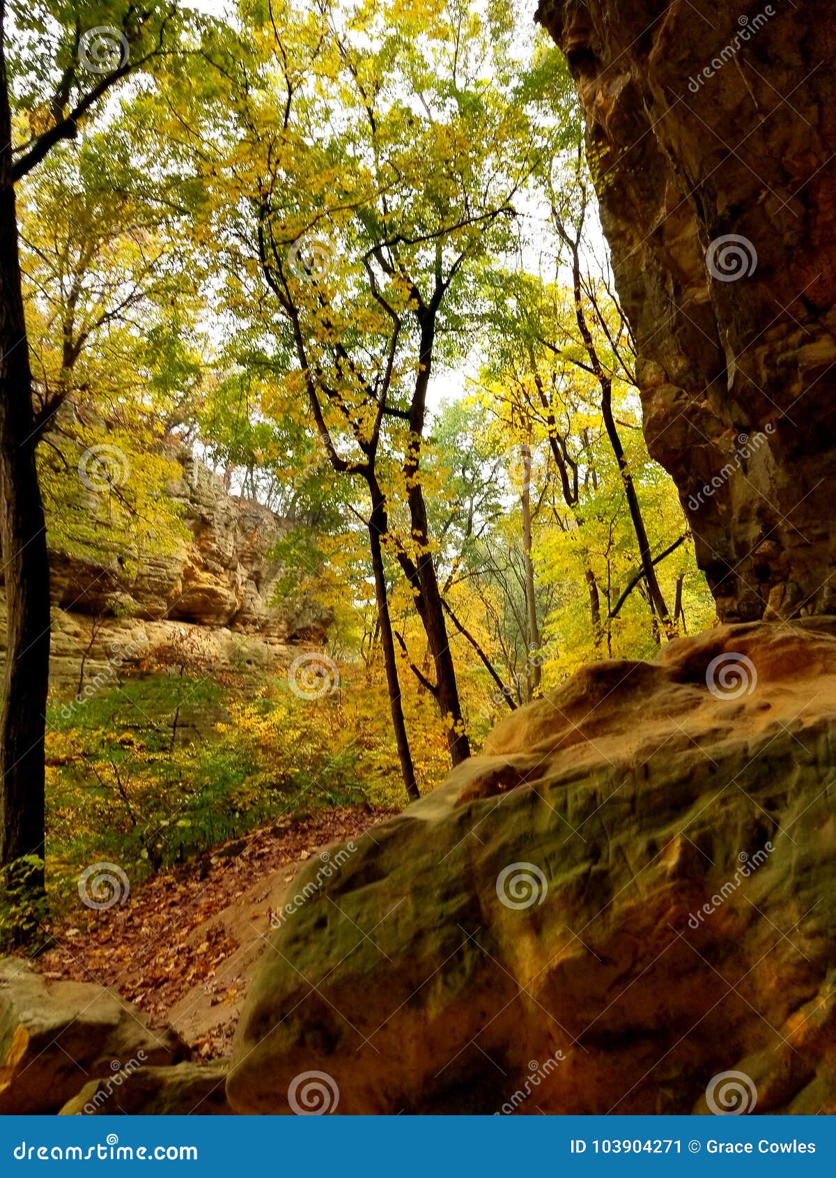 Crisp fall day stock image. Image of fall, views, crisp - 103904271