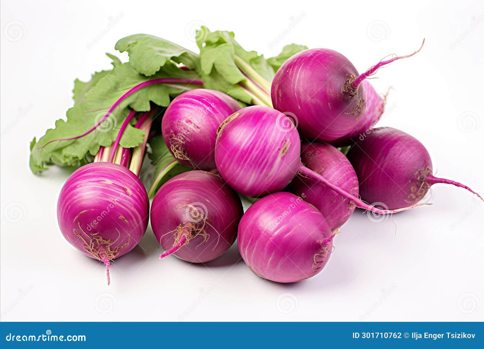 Crisp Turnips on Clean White Backdrop for Captivating Ads Alluring ...