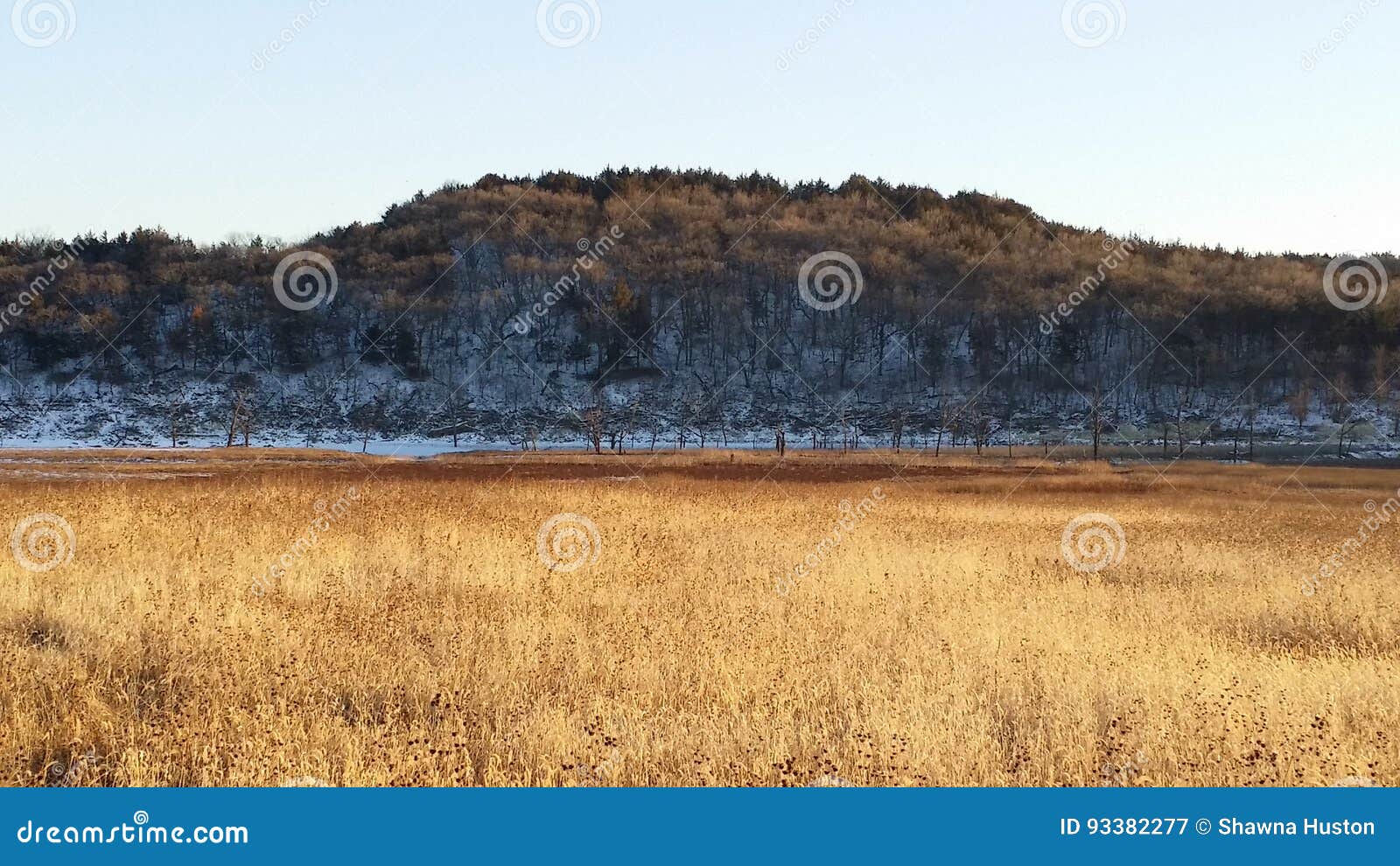 Crisp winter stock image. Image of snowy, hill, steppe - 93382277