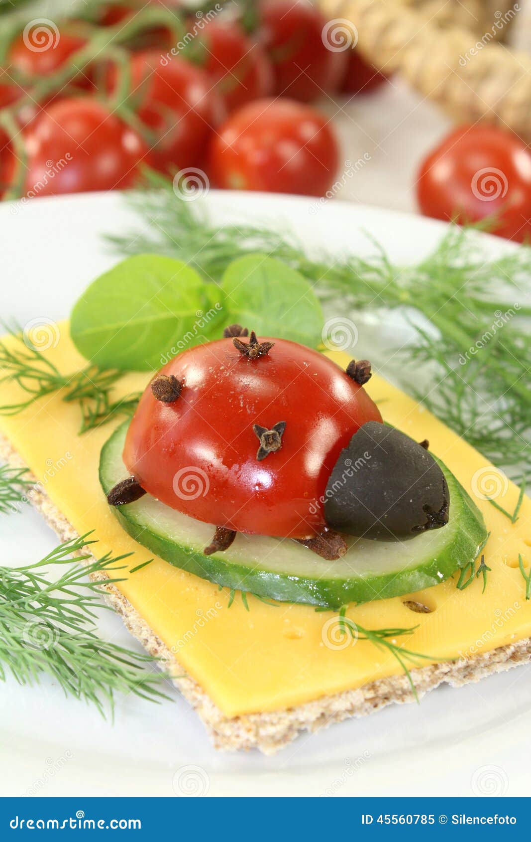 Crispbread with ladybug stock image. Image of colorful - 45560785