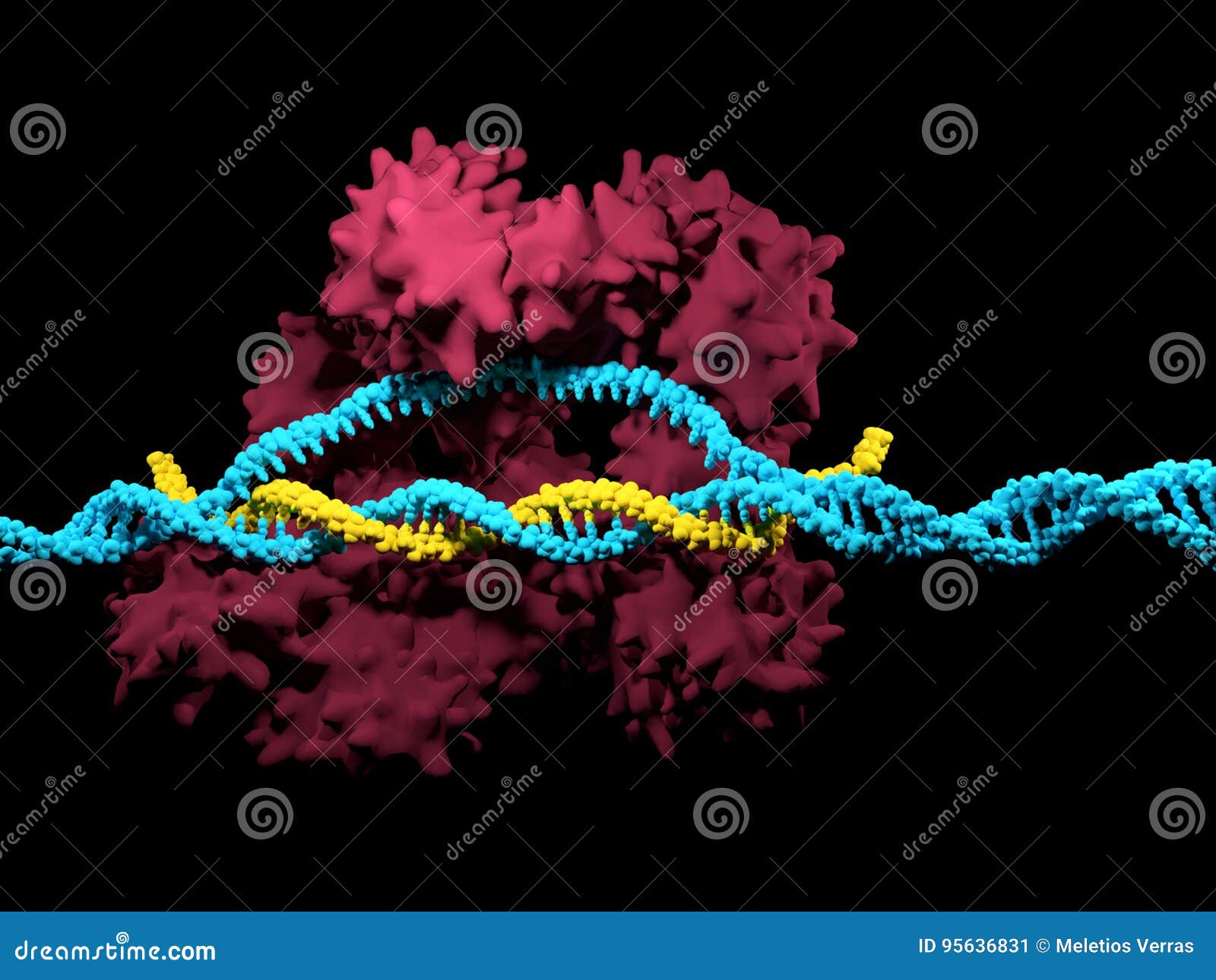 CRISPR-Cas9 Royalty-Free Cartoon | CartoonDealer.com #95636831