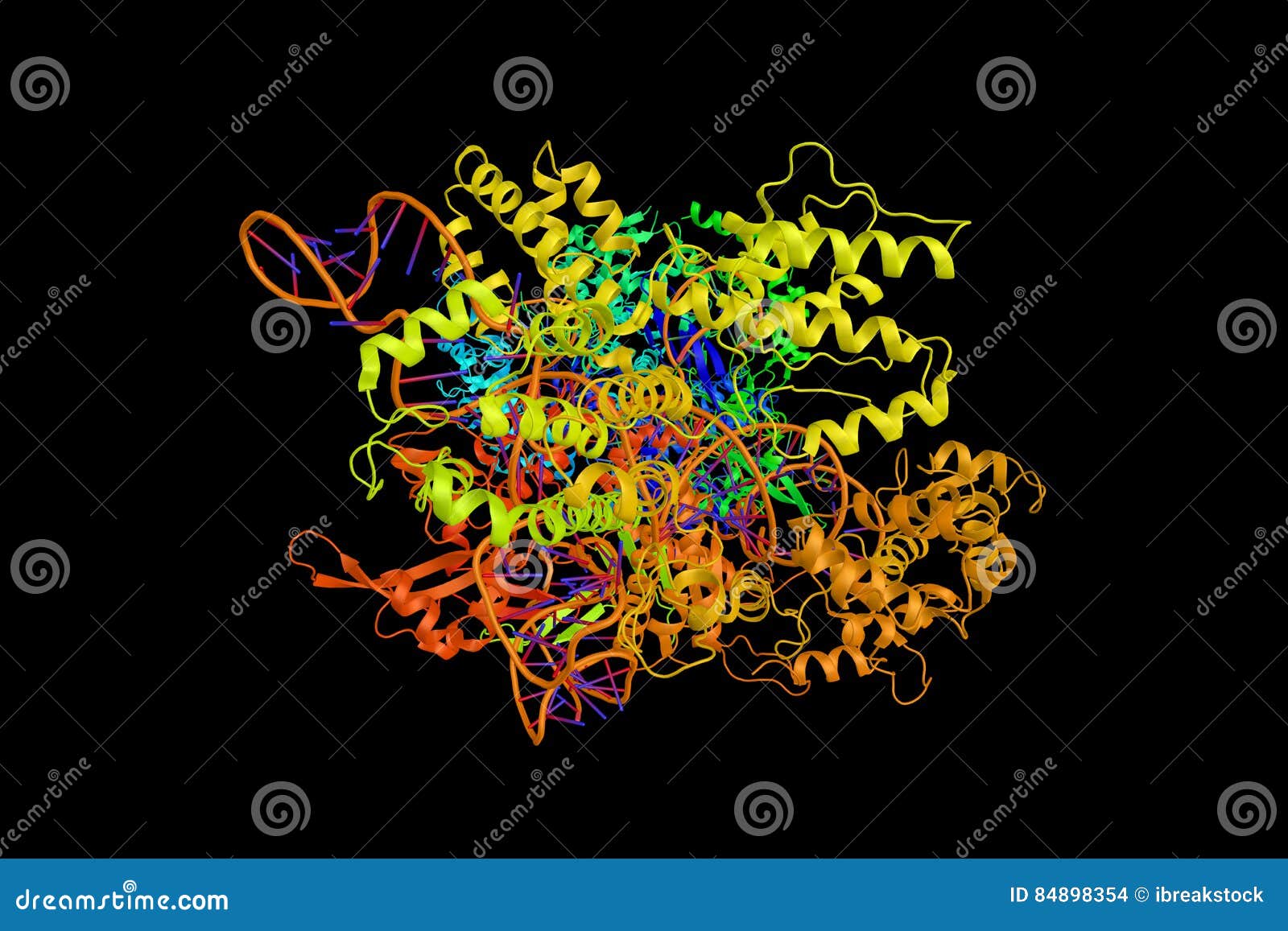 CRISPR-CAS9 (3d Structure), a Gene Editing Complex. CRISPR are S Stock ...