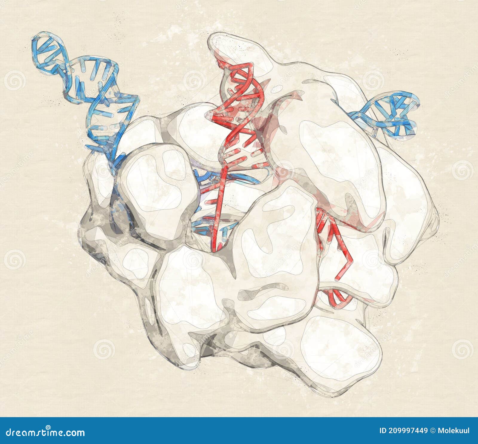 CRISPR - CAS9 Gene Editing Complex from Streptococcus Pyogenes. the ...