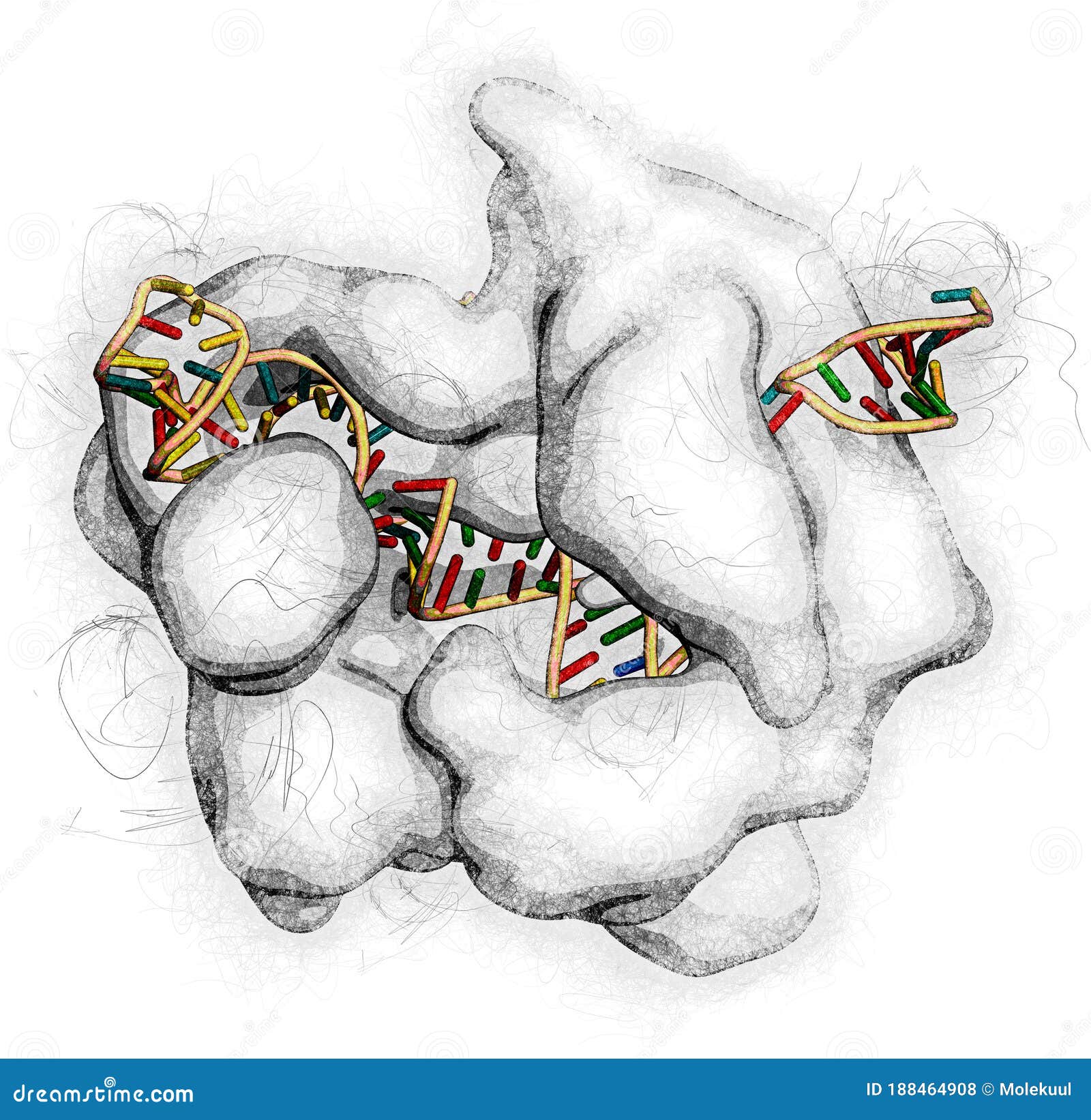 CRISPR-CAS9 Gene Editing Complex from Streptococcus Pyogenes. the Cas9 ...