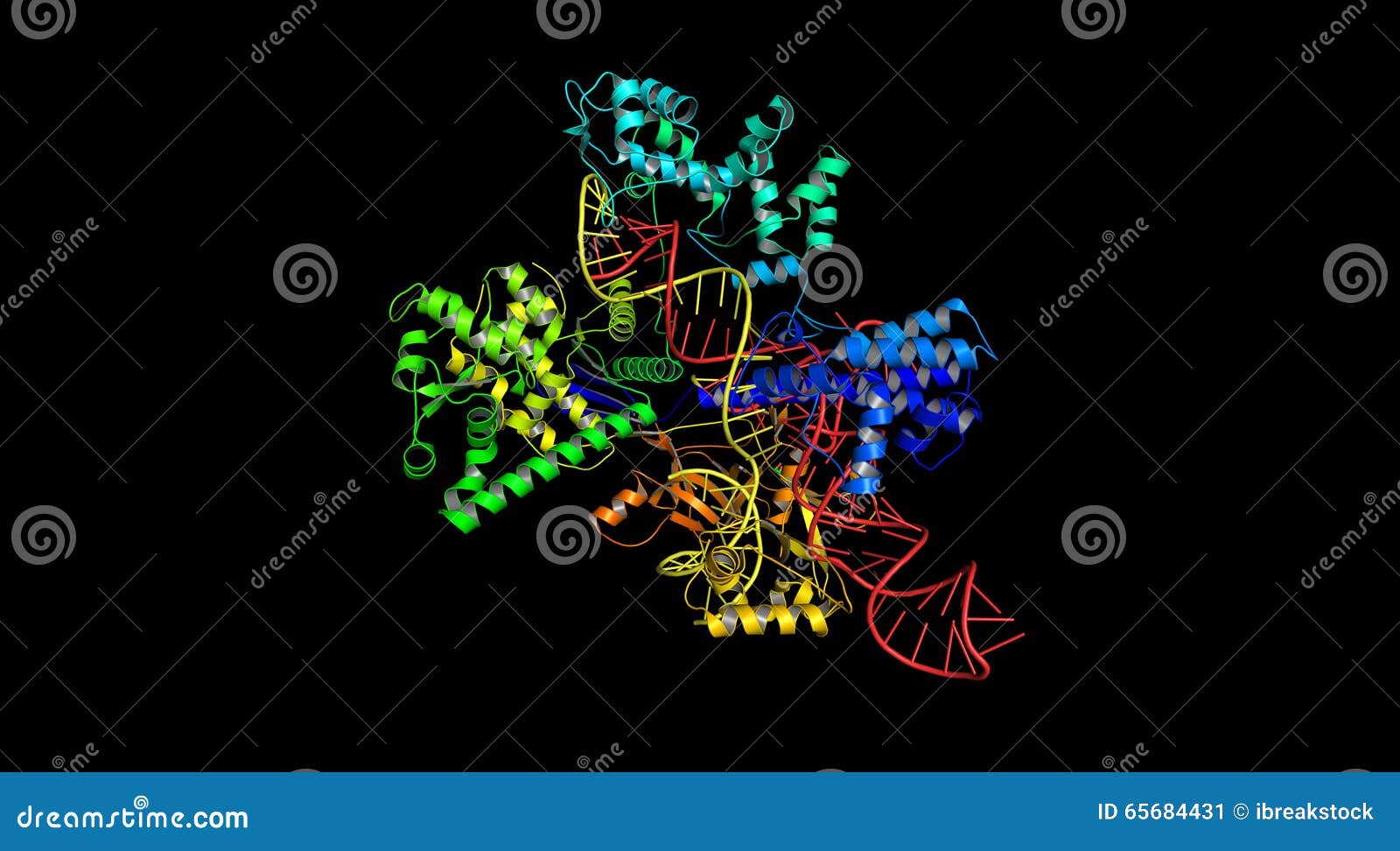 CRISPR/Cas9 Molecular Structure - System for Editing, Regulating and ...