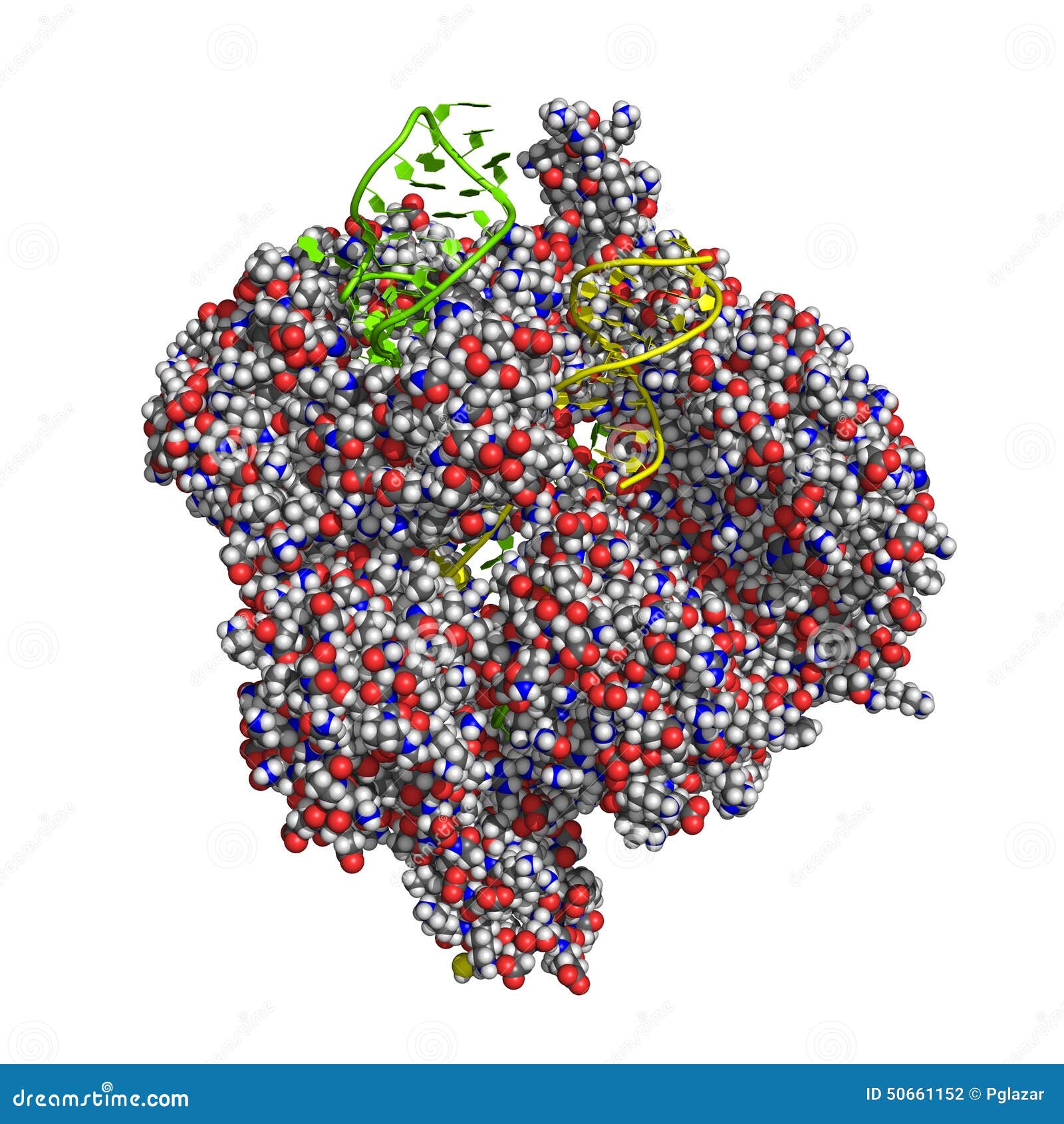 CRISPR/Cas9 protein model stock illustration. Illustration of nuclease ...