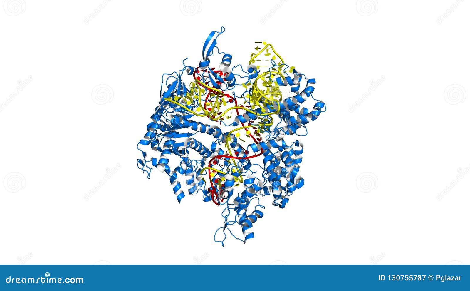 CRISPR/Cas9, Rotating Cartoon Model Stock Video - Video of drug ...