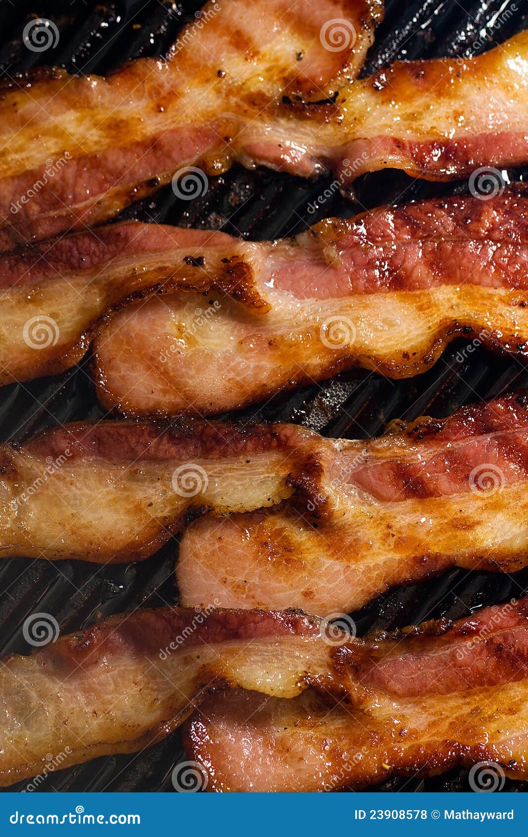 Crispy Bacon Cooking on a Grill Stock Photo - Image of nutrition, pork ...