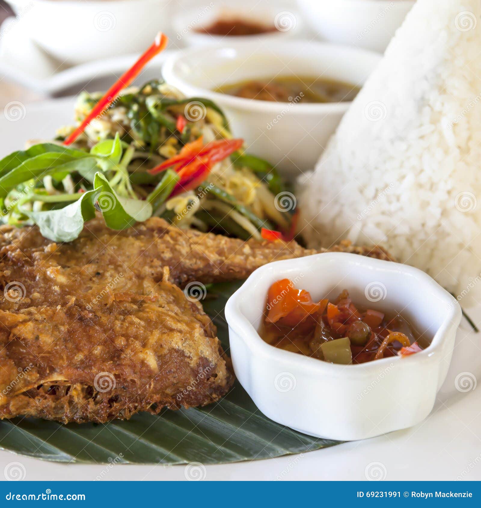 Crispy Duck Salad with Rice Stock Image - Image of gourmet, green: 69231991