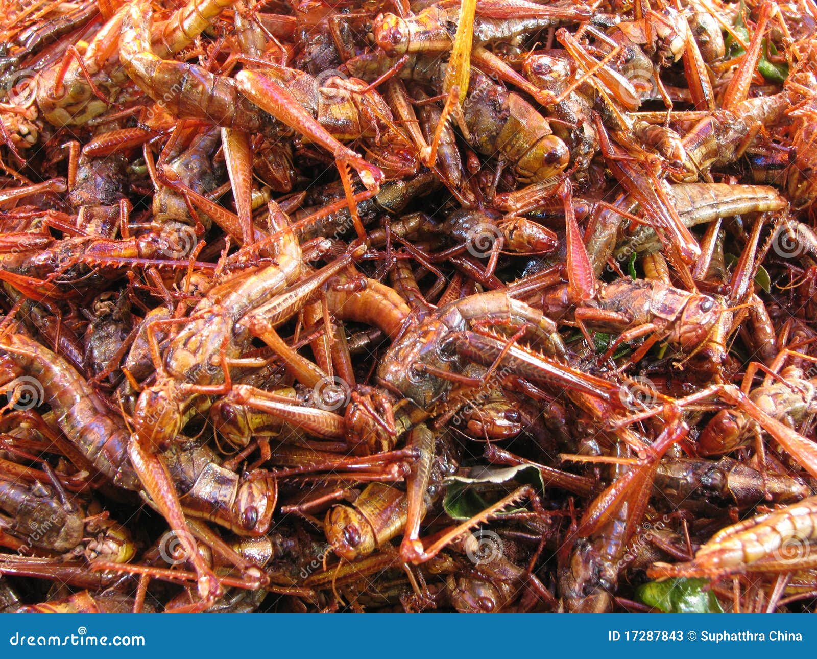 Crispy fried bombay locust stock image. Image of salt - 17287843